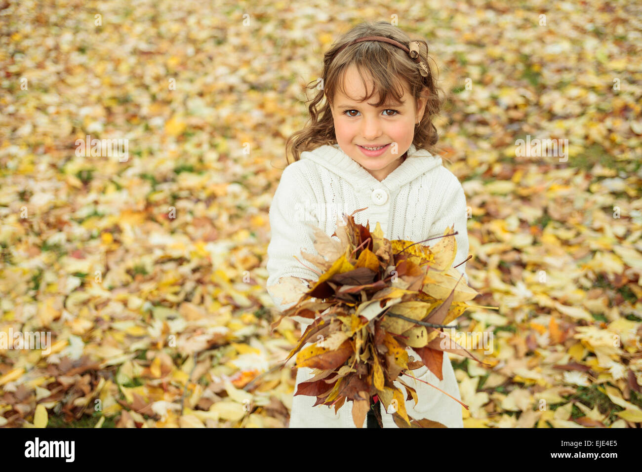 Little girl with autumn leaf Stock Photo - Alamy