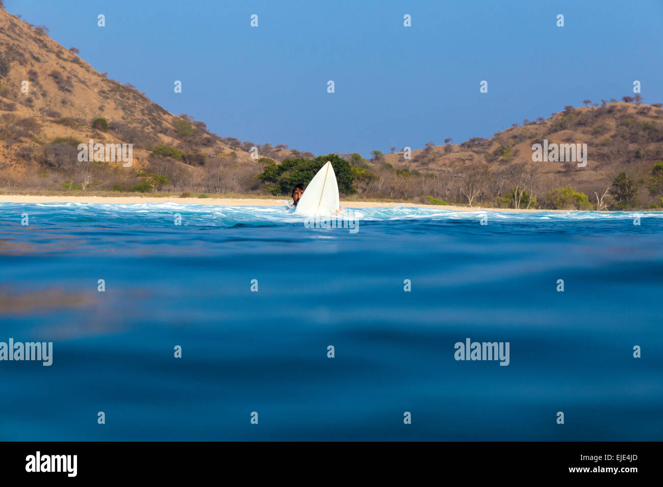 Surfing in West Sumbawa.Indonesia Stock Photo - Alamy