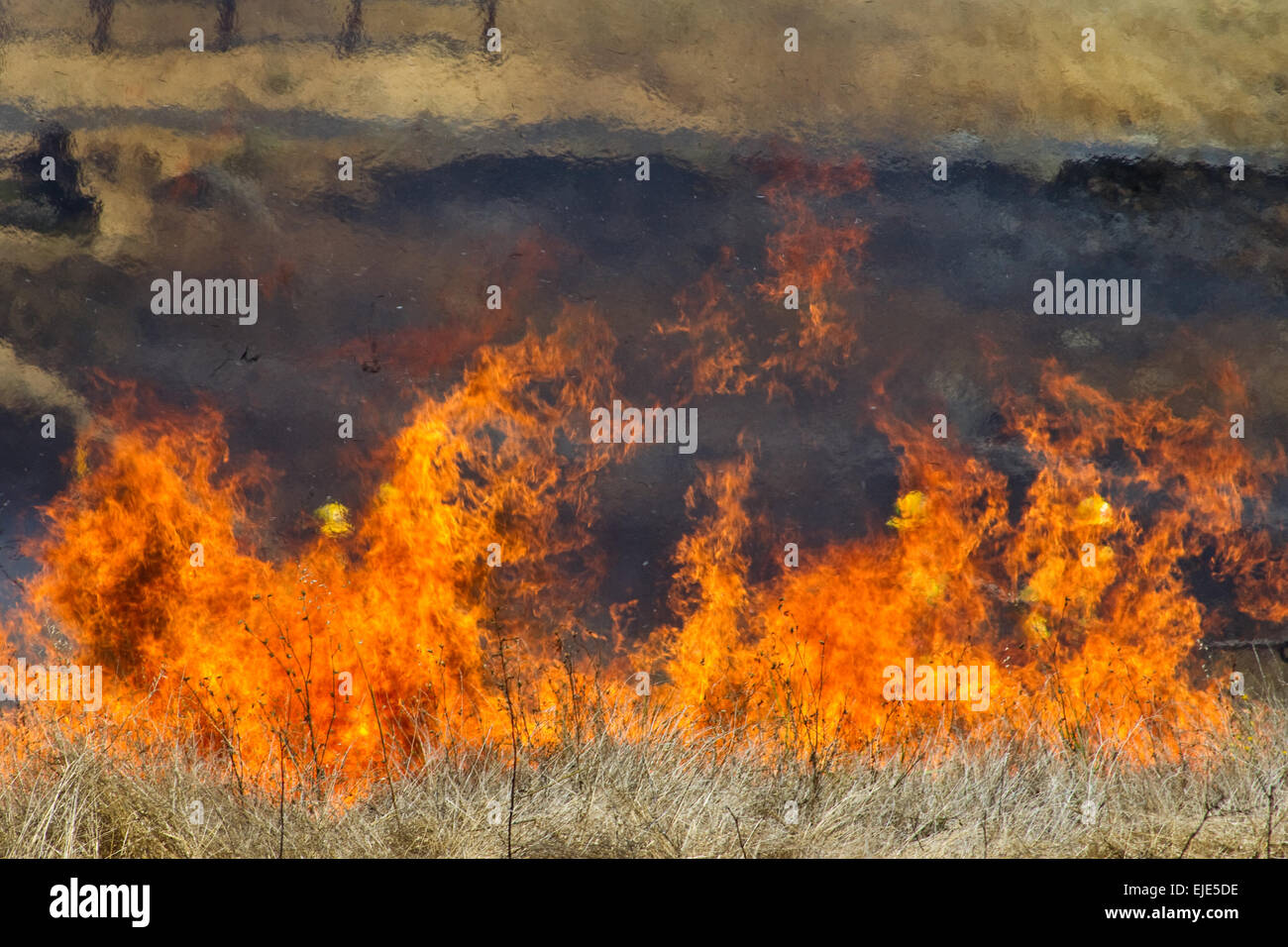 Firefighter Fighting Fire Stock Photo - Alamy