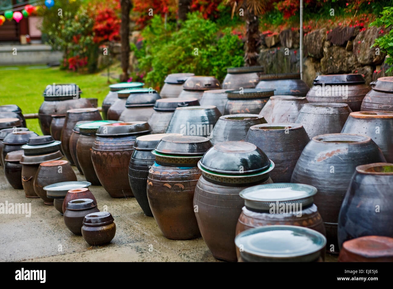 Clay pots for Kimchi at the temple complex at Hawsun in south Korea in ...
