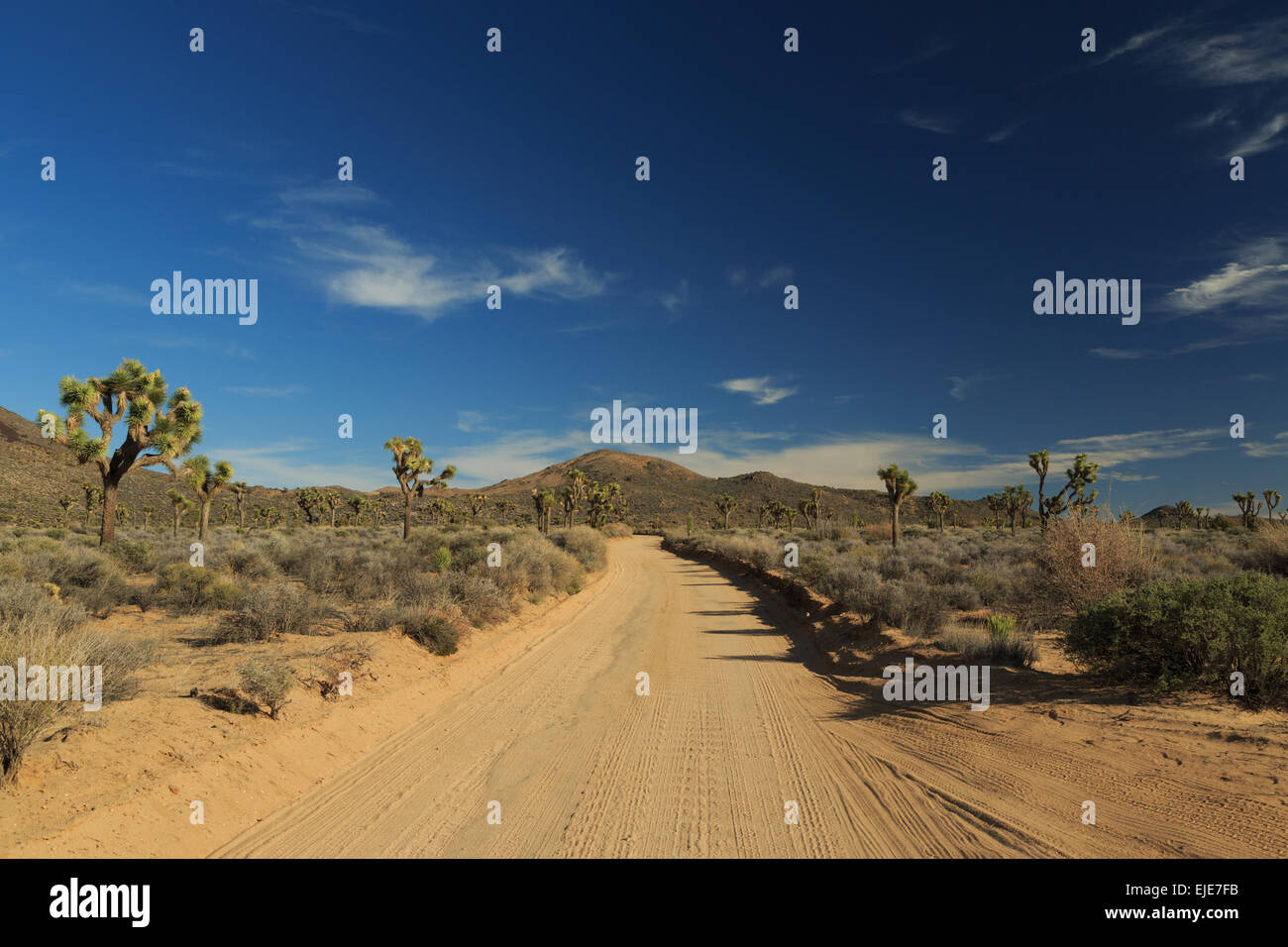 Road to joshua tree hi-res stock photography and images - Alamy
