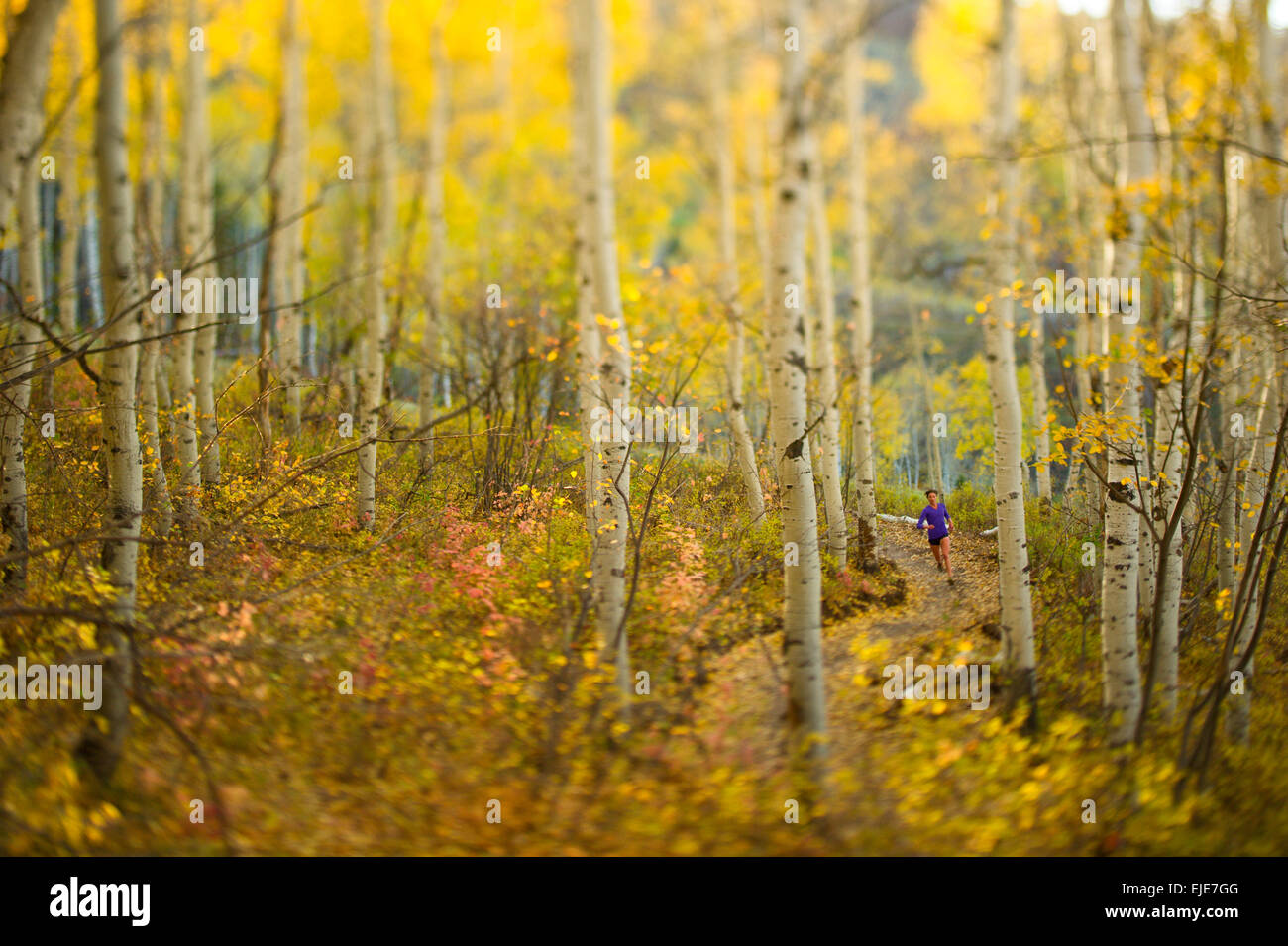 Woman running on a trail in Utah Stock Photo - Alamy