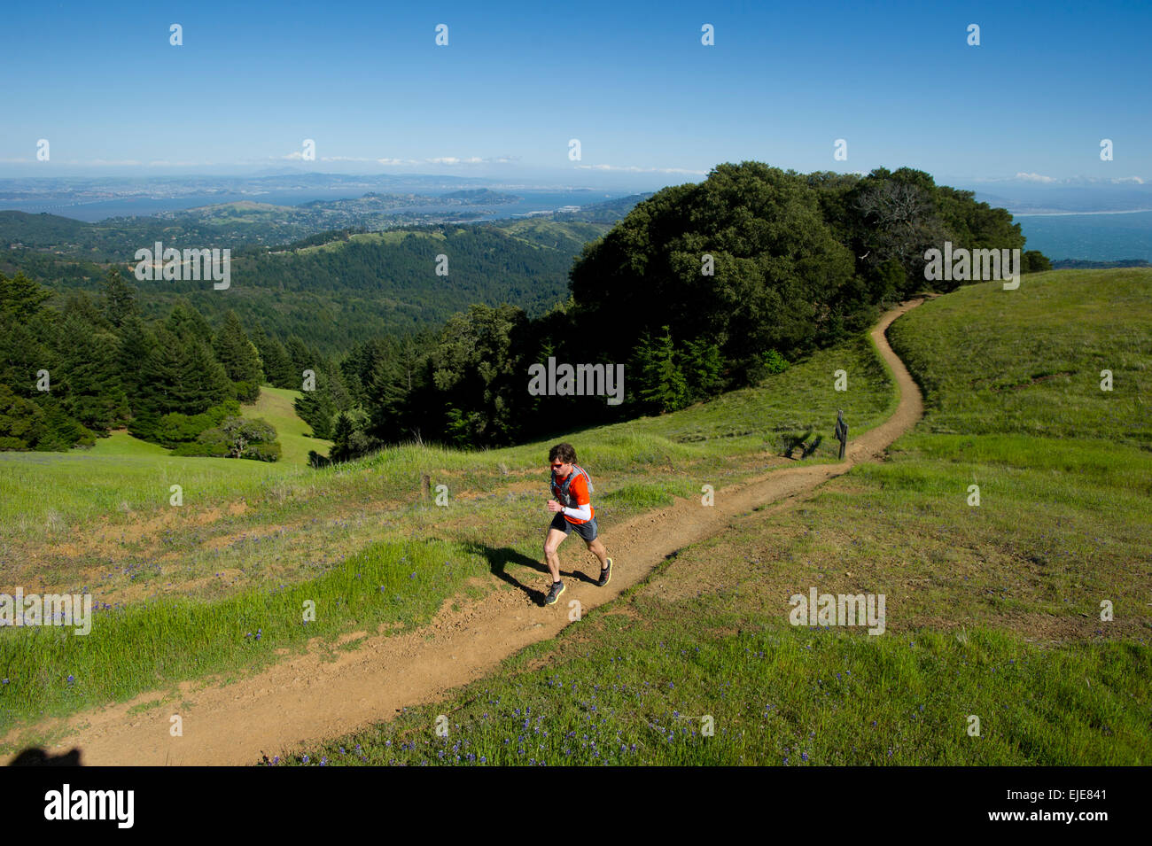 Running in California Stock Photo - Alamy