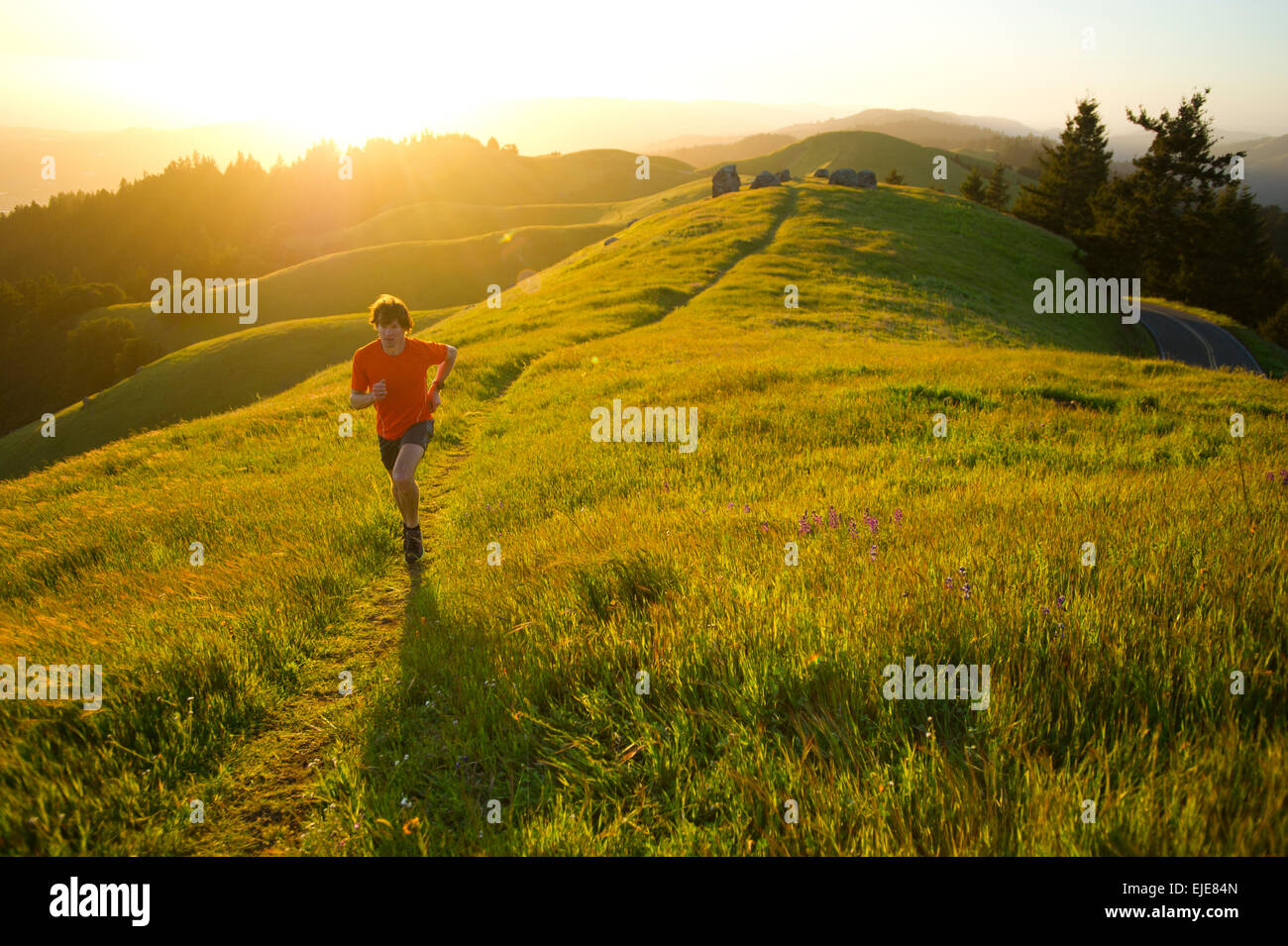 Running in California Stock Photo - Alamy