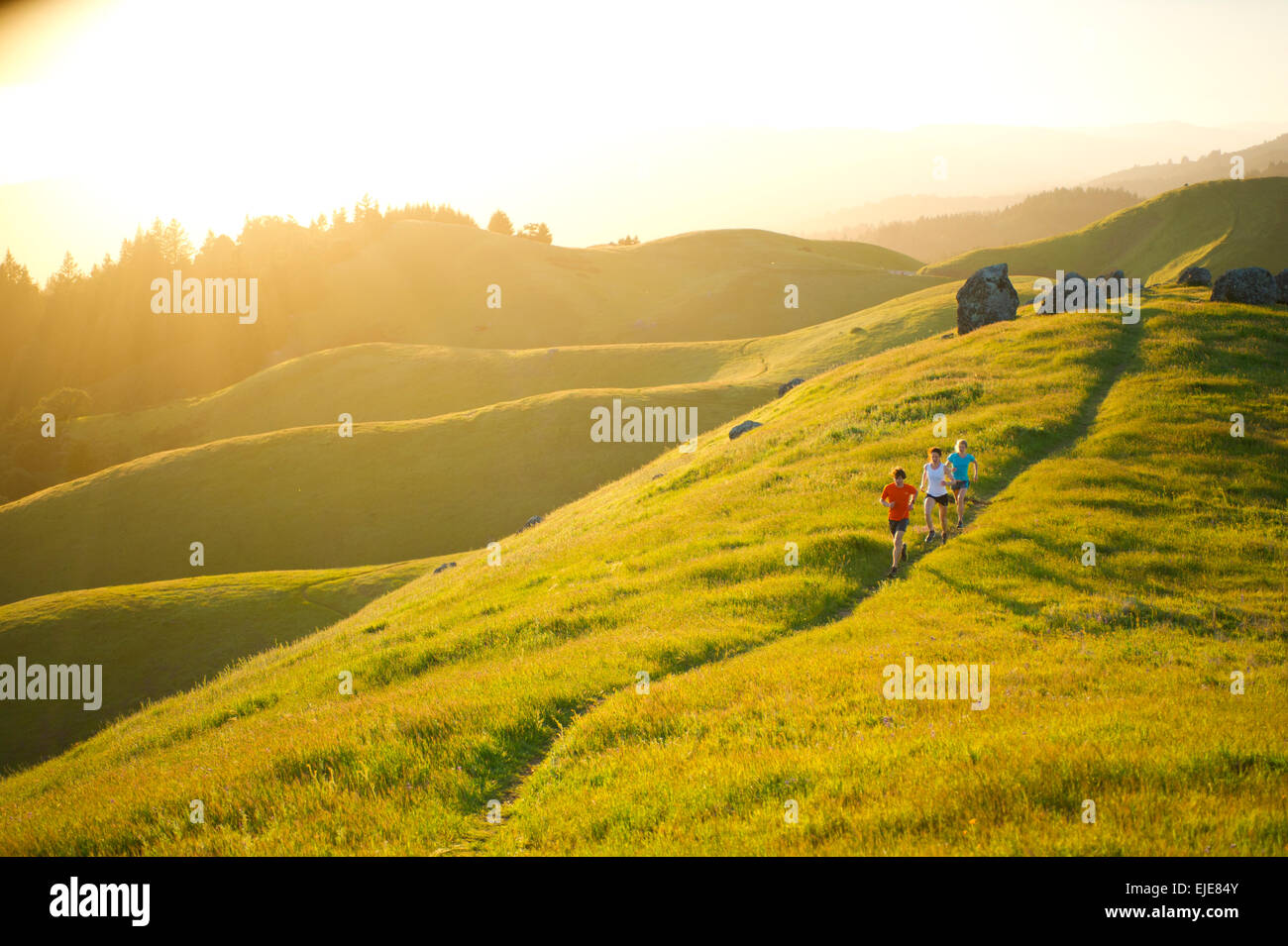Running in California Stock Photo - Alamy