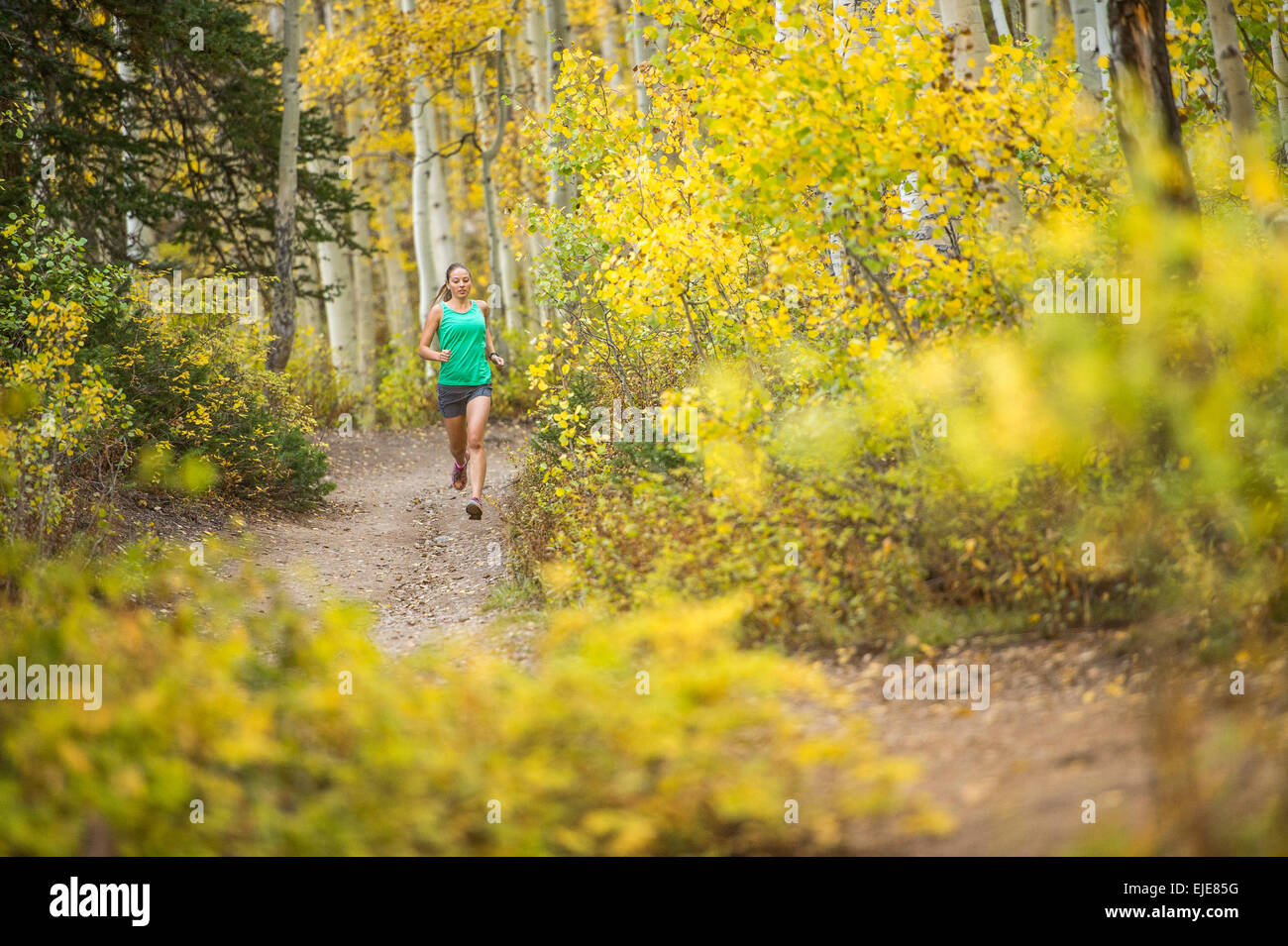 Woman Trail Running on a Sunny Fall Day Stock Photo - Alamy