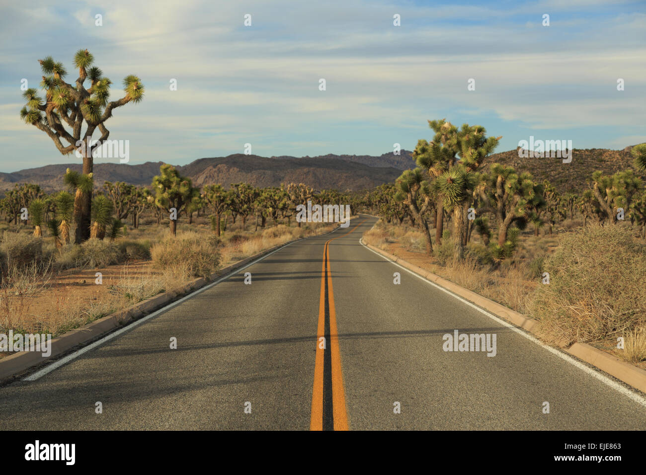 Road to joshua tree hi-res stock photography and images - Alamy