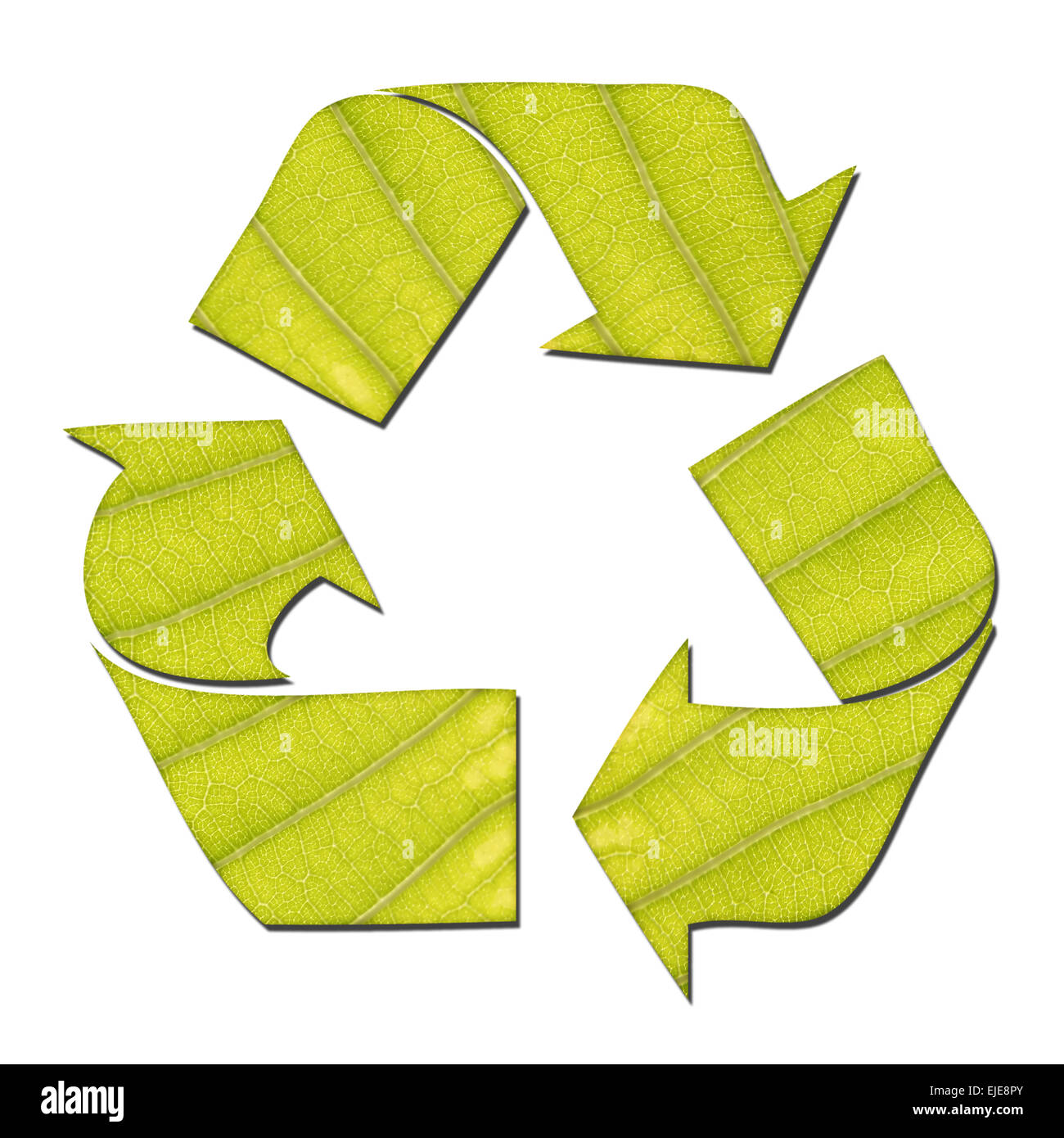 recycle sign made from green leaf isolated on white Stock Photo - Alamy