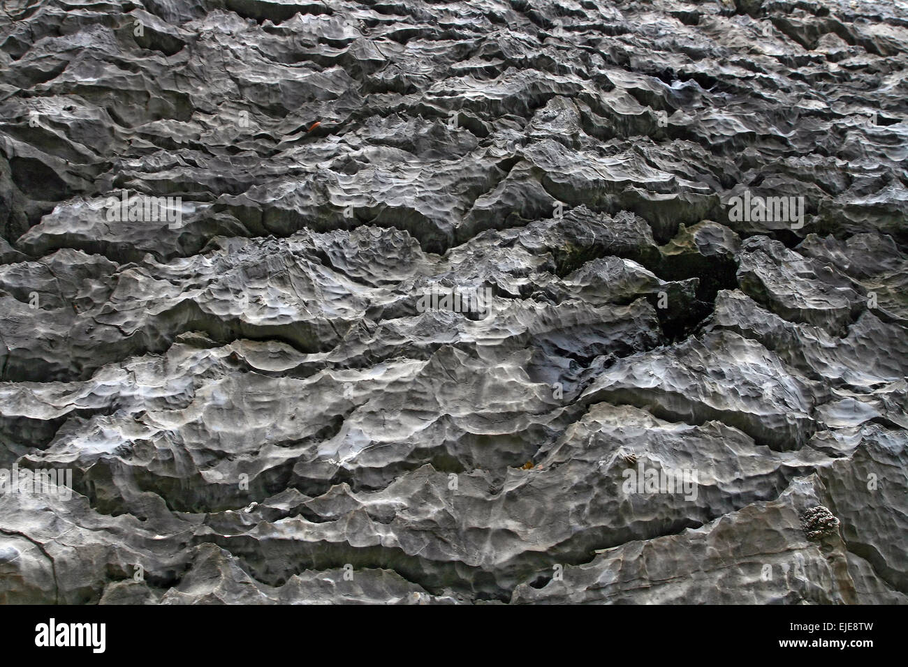 Pattern of Seamless rock texture and surface background closeup Stock ...