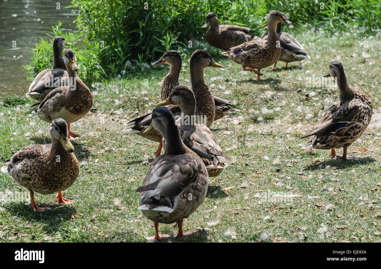 Facing different directions hi-res stock photography and images - Alamy