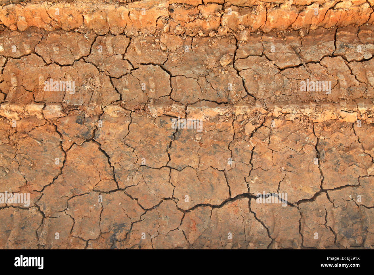 Dry terrain ground Stock Photo - Alamy