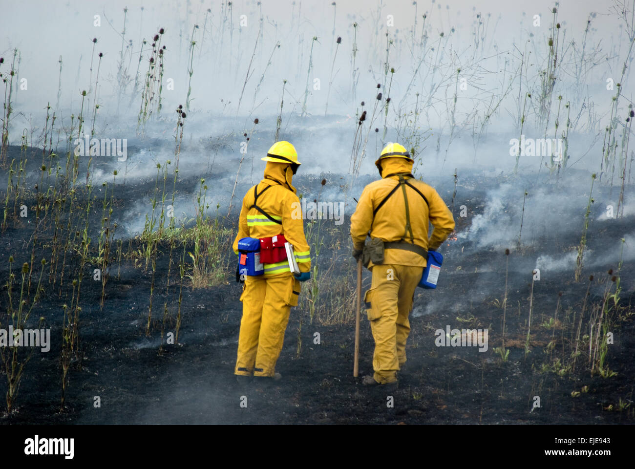 Firefighter Fighting Fire Stock Photo - Alamy