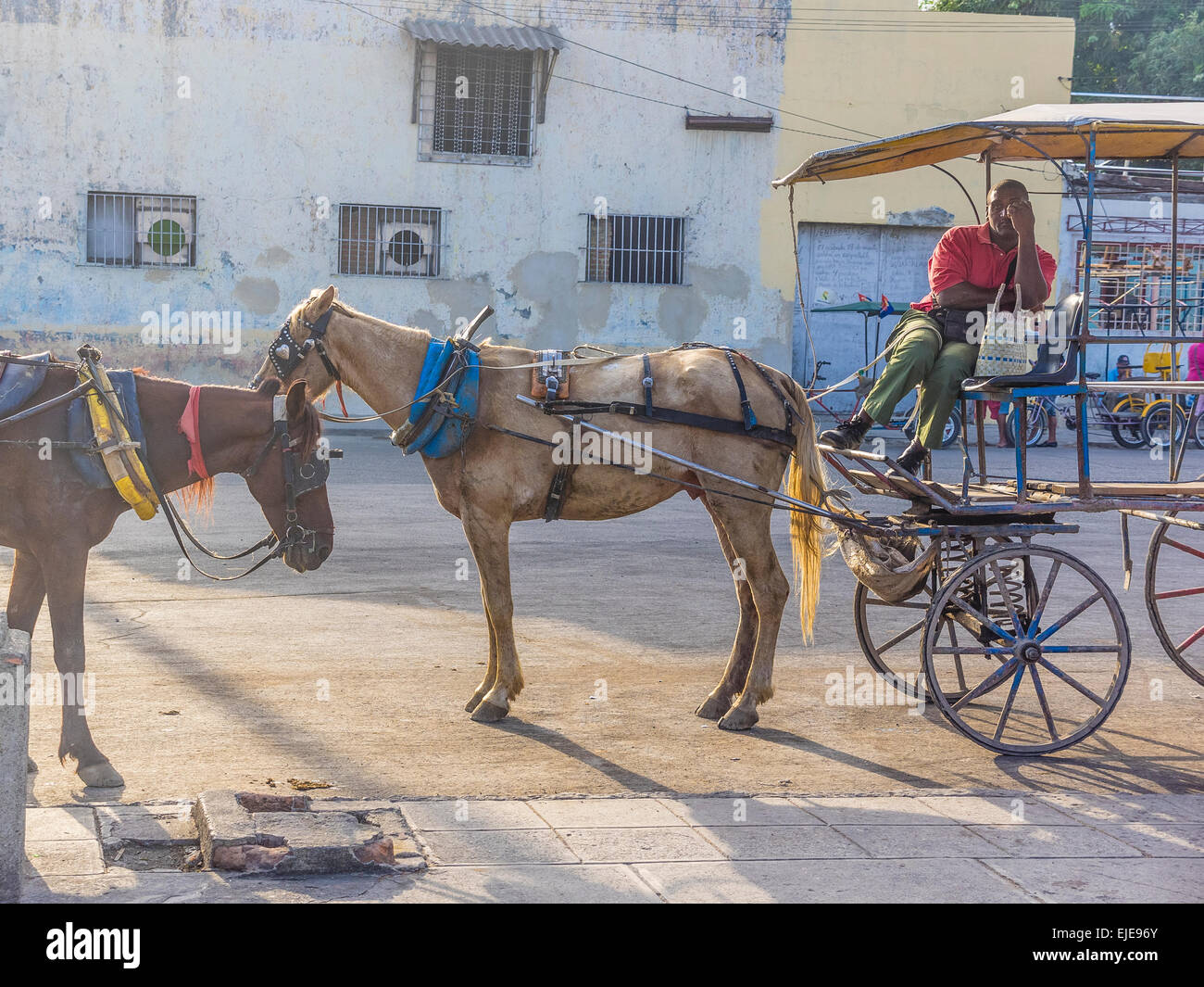 Seat horse drawn carriage hi-res stock photography and images - Alamy