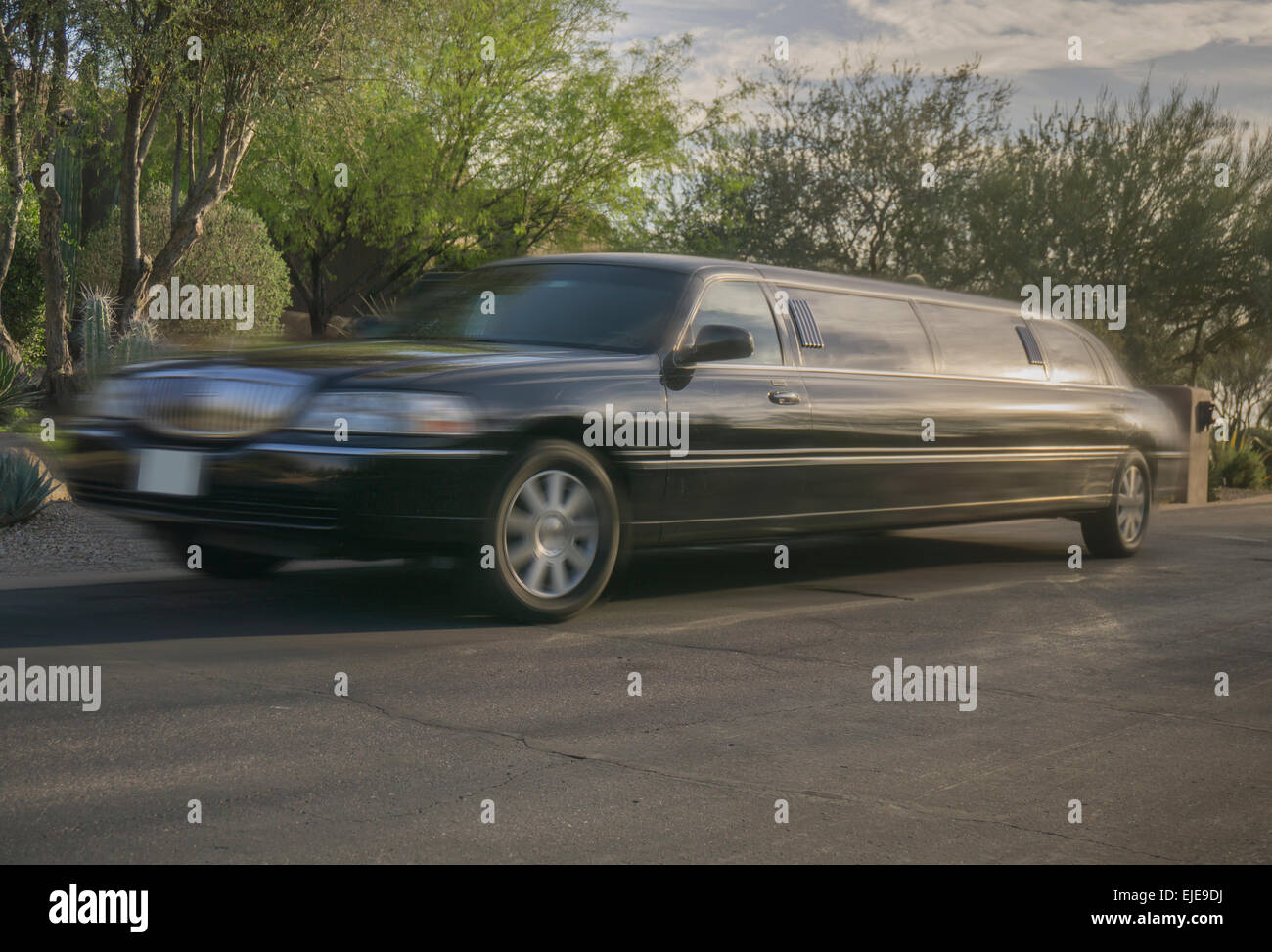 Limousine limo service Stock Photo - Alamy
