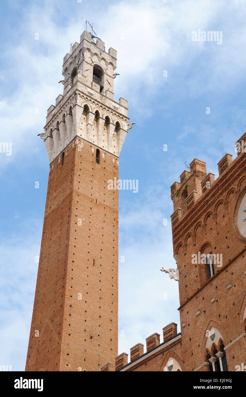 Tower in the square of Siena, Italy built in the 14th century Stock ...