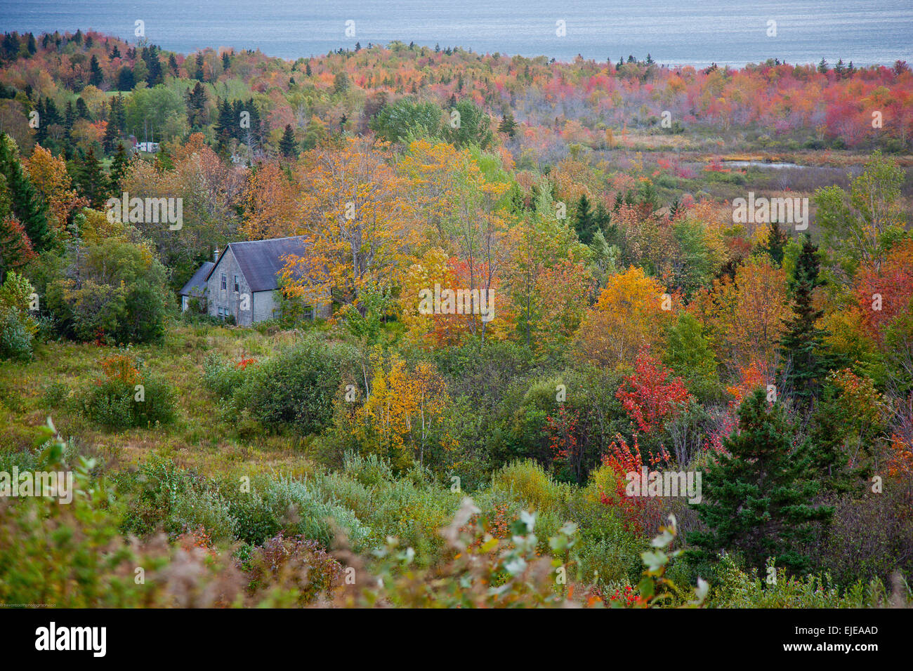 house in midst of fall foliage in Cape Breton, Nova Scotia, Canada ...