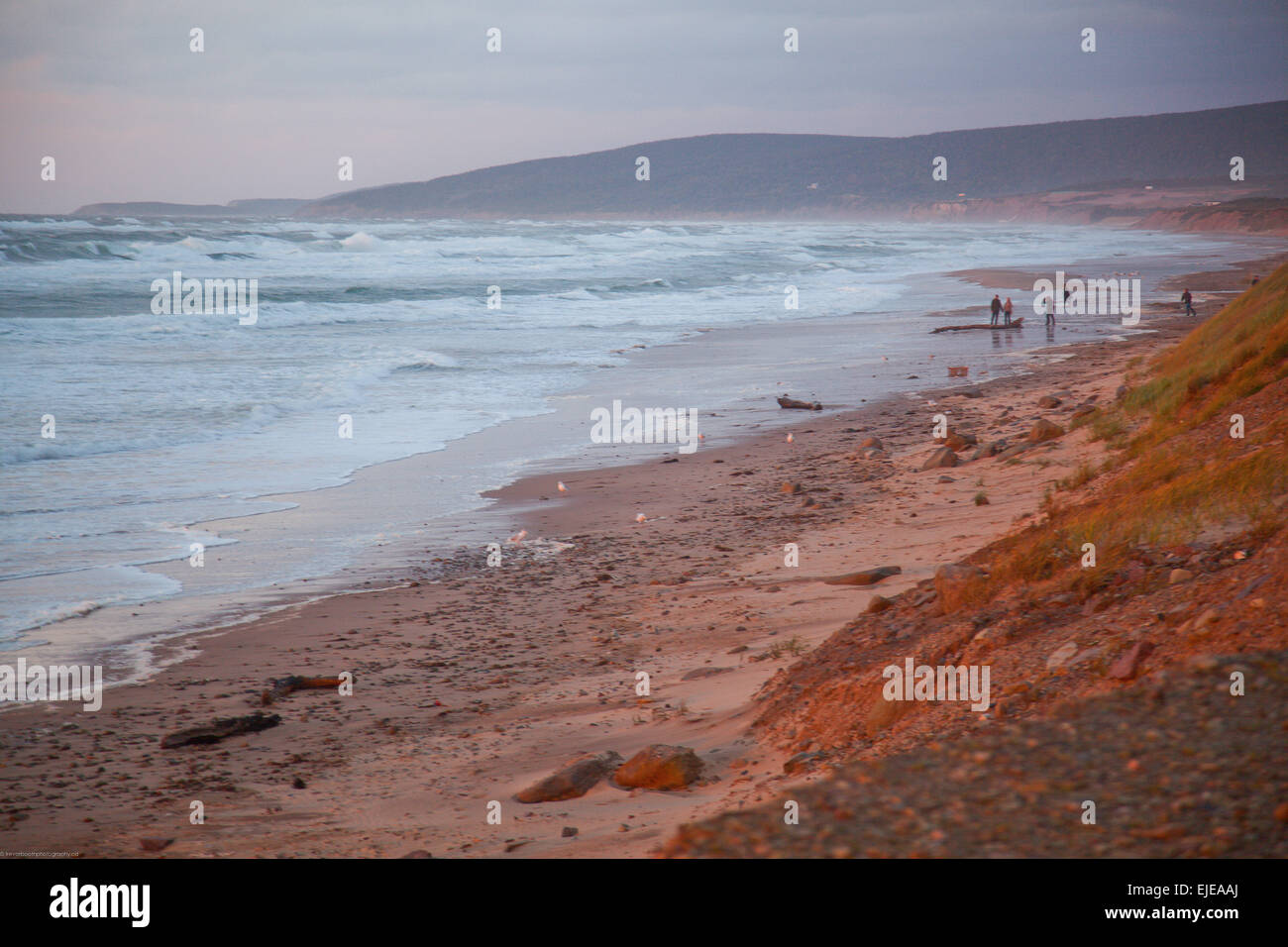 Inverness beach cape breton hi-res stock photography and images - Alamy