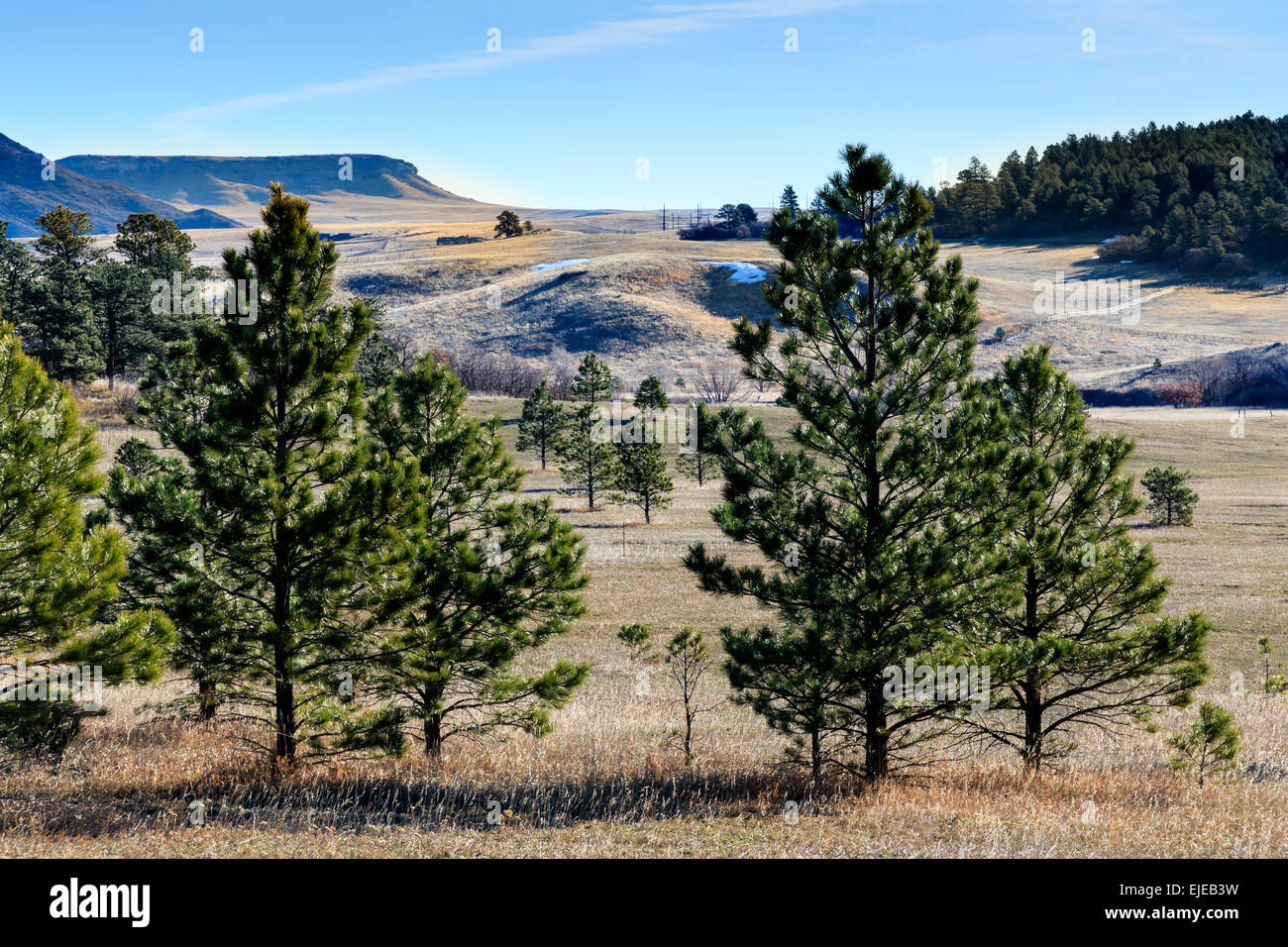 The Colorado roadside in early spring Stock Photo - Alamy