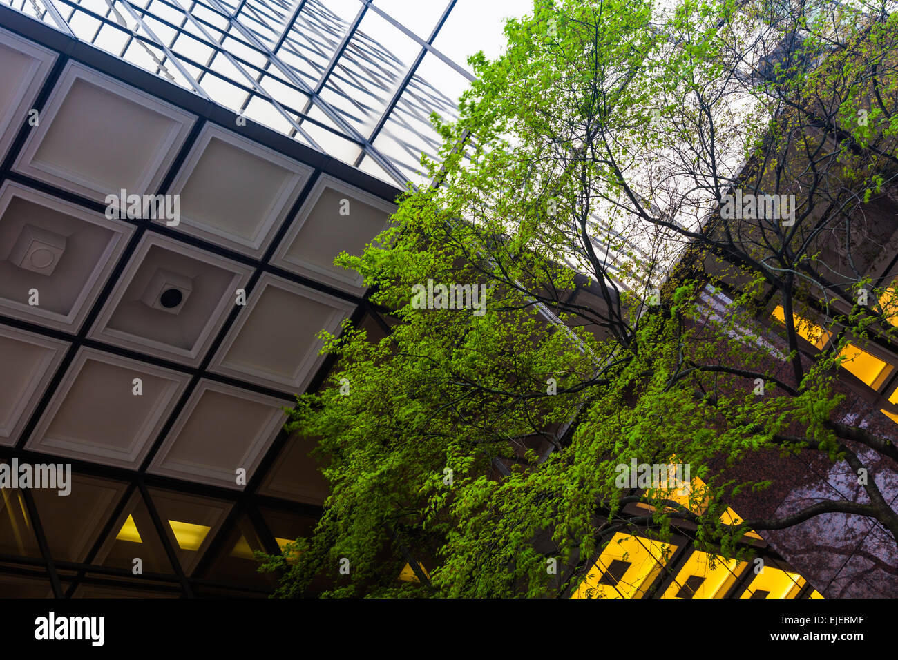 Downtown landscaping hi-res stock photography and images - Alamy