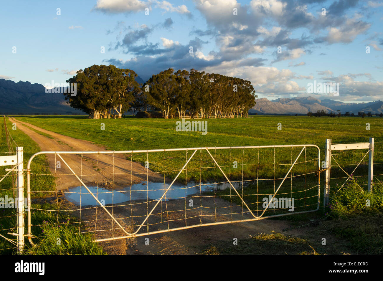 Farmland in the Tulbagh Valley, South Africa Stock Photo - Alamy