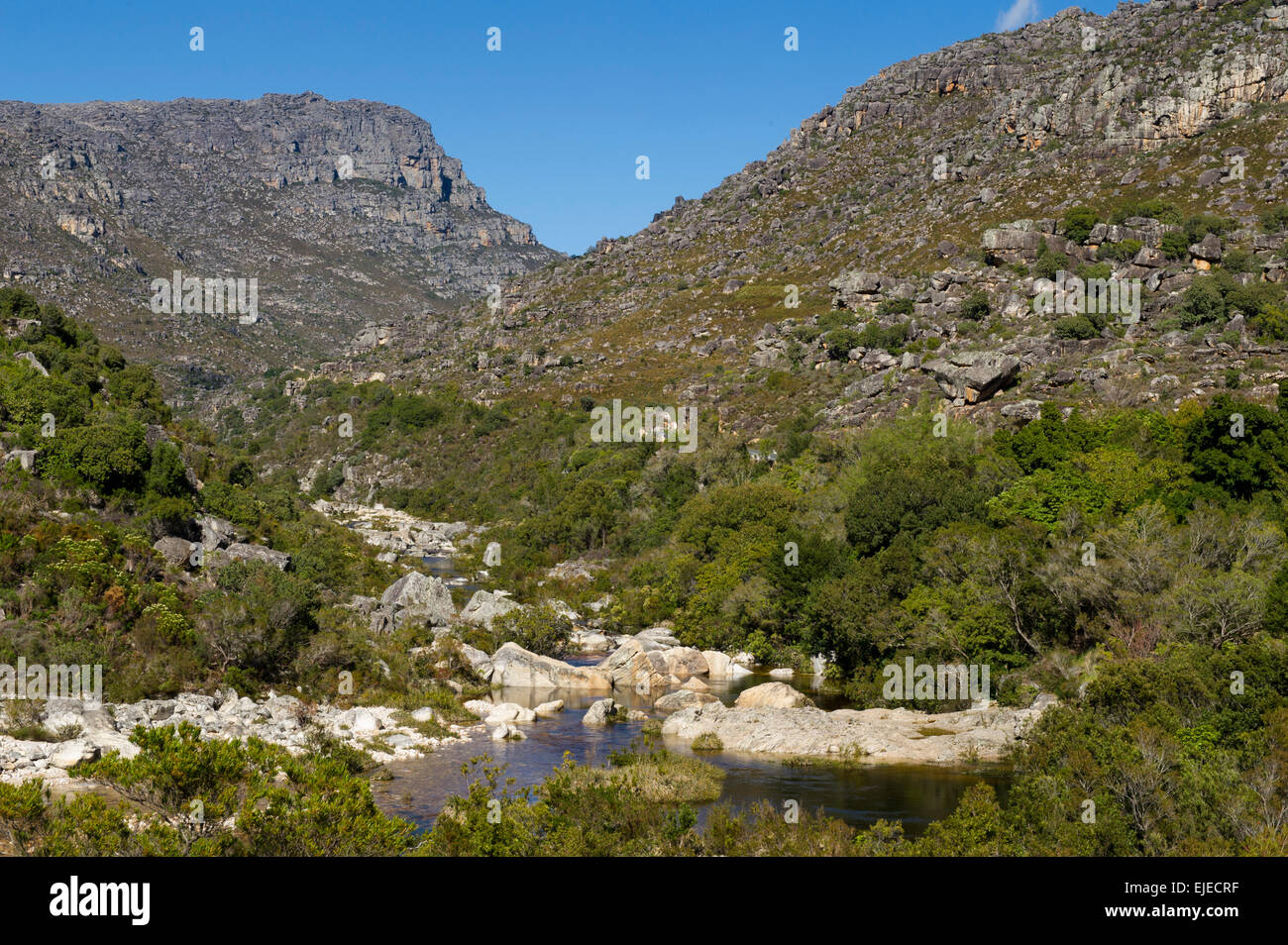 Bainskloof hi-res stock photography and images - Alamy