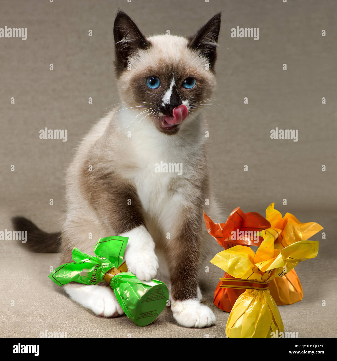 Drool hi-res stock photography and images - Alamy