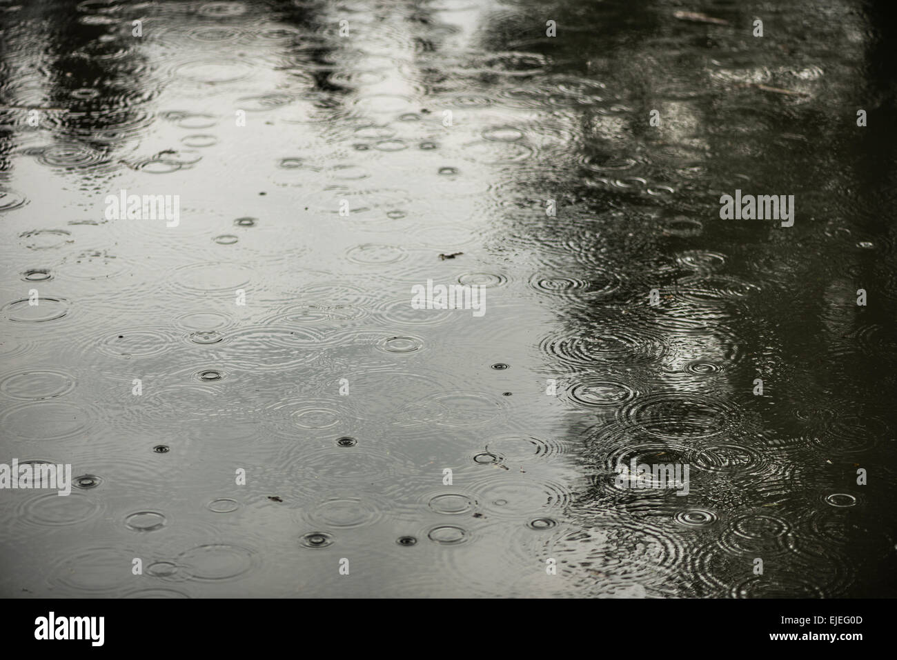 Bleak weather forecast ahead with outlook for rain as raindrops begin ...