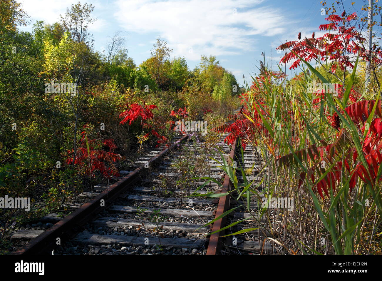 Disused railway line, Lery, Quebec Province, Canada Stock Photo - Alamy
