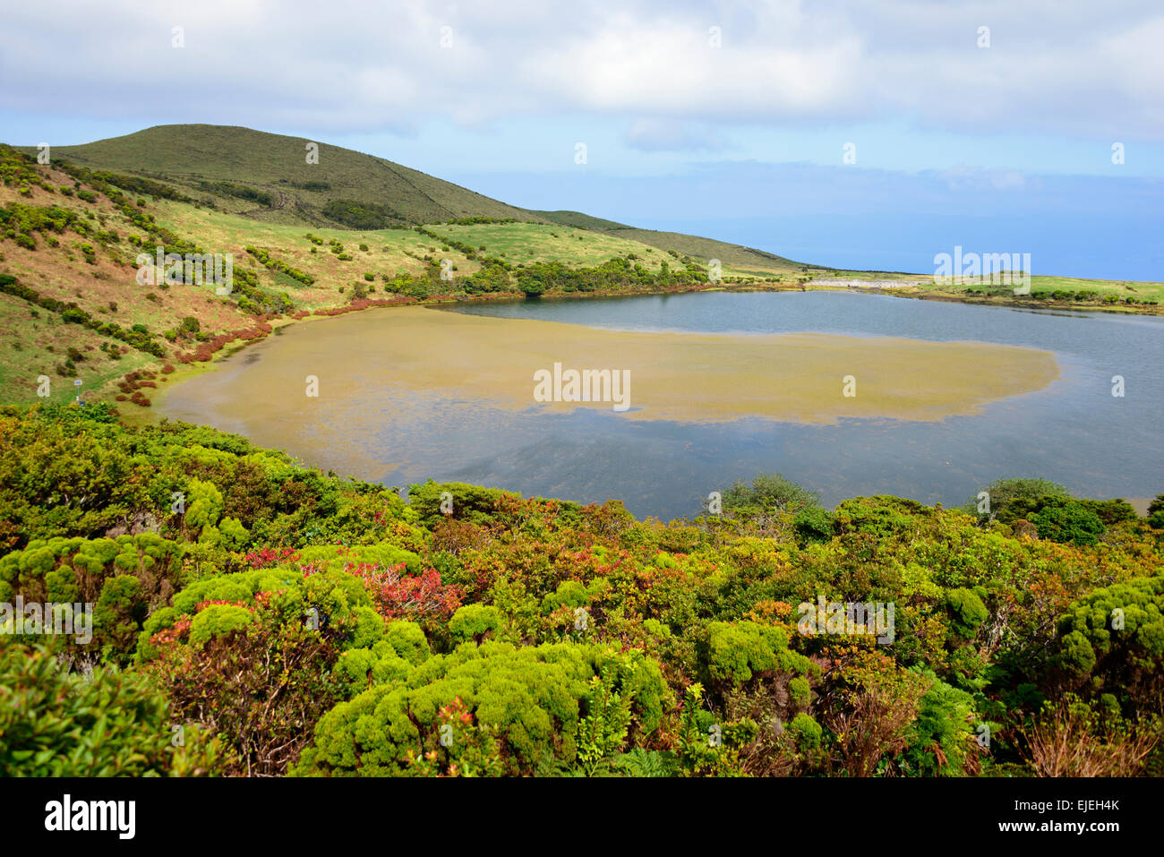 Lake Lagoa do Caiado, Highlands, Pico, Azores, Portugal Stock Photo - Alamy
