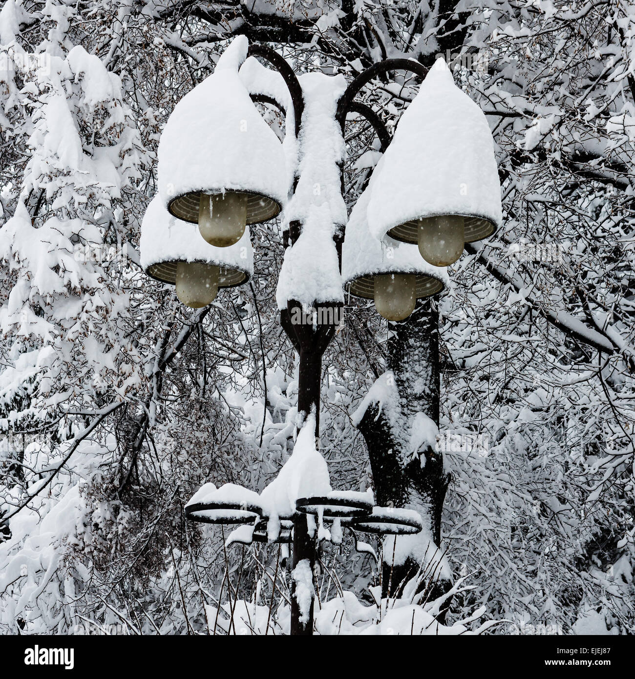 Thick layer snow hi-res stock photography and images - Alamy