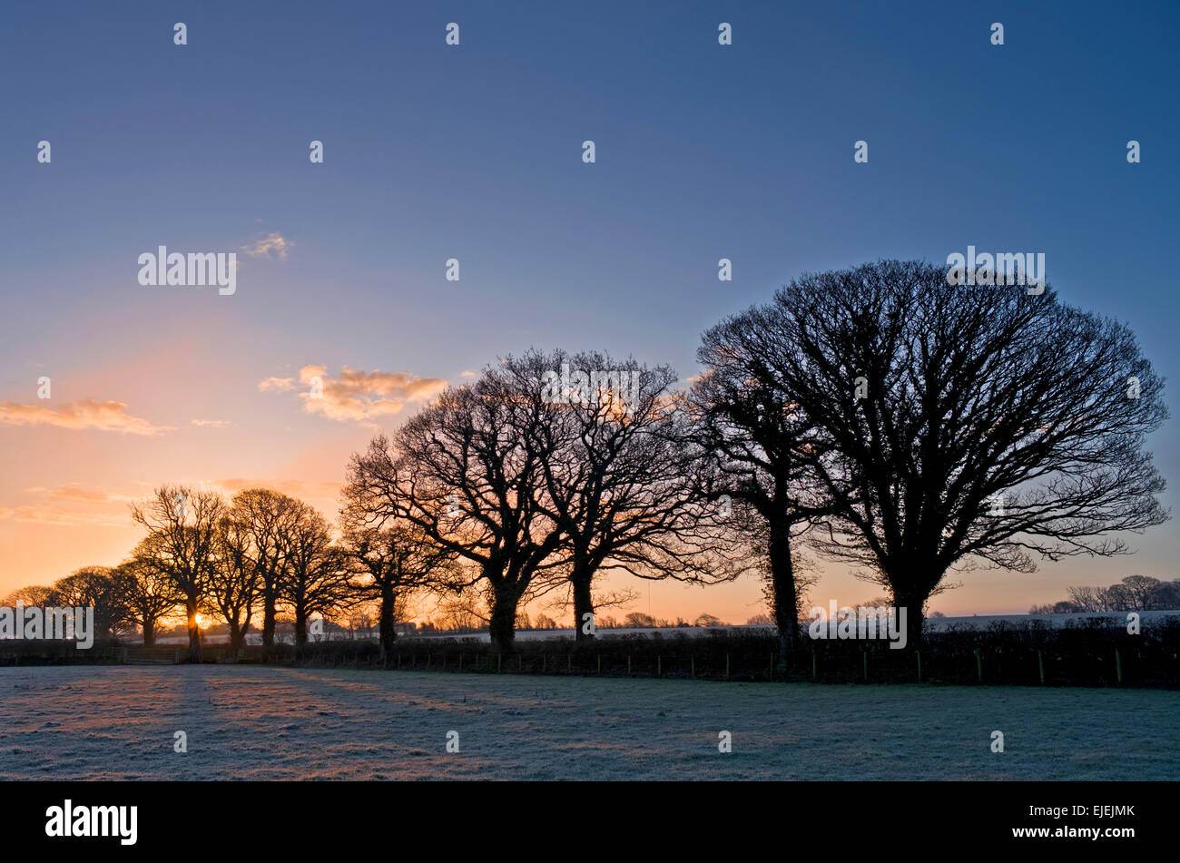 Wigton cumbria hi-res stock photography and images - Alamy