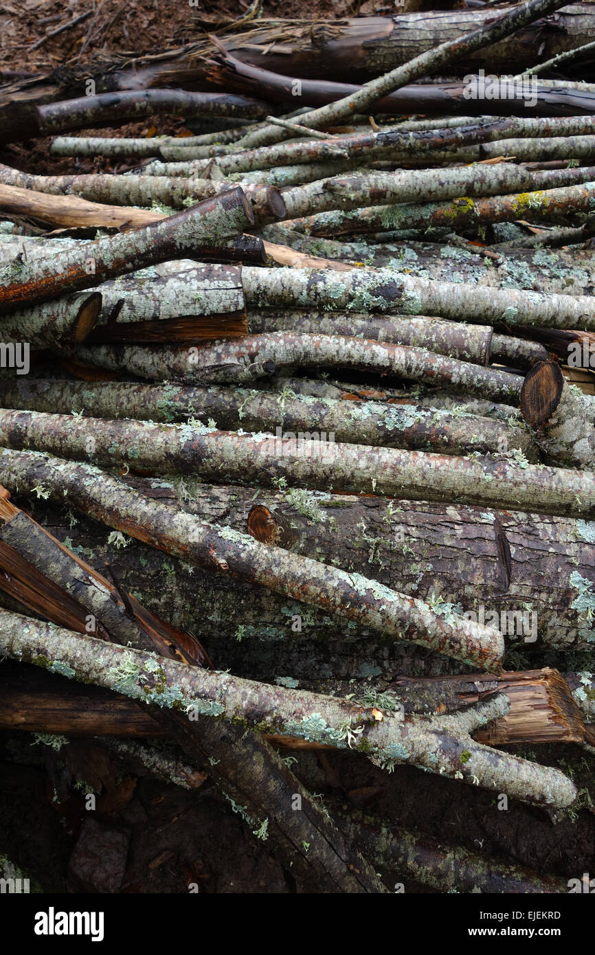Chestnut log structure hi-res stock photography and images - Alamy