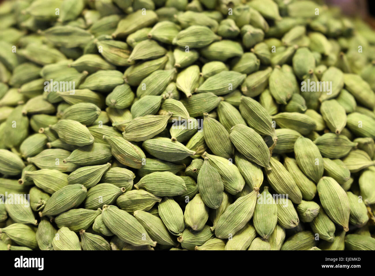 Green cardamom plant hi-res stock photography and images - Alamy