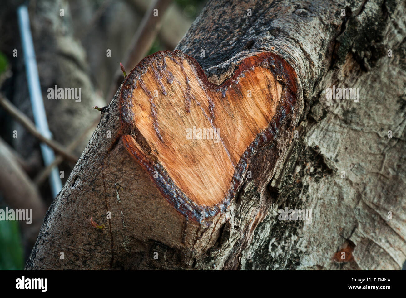 Shaped area hi-res stock photography and images - Alamy