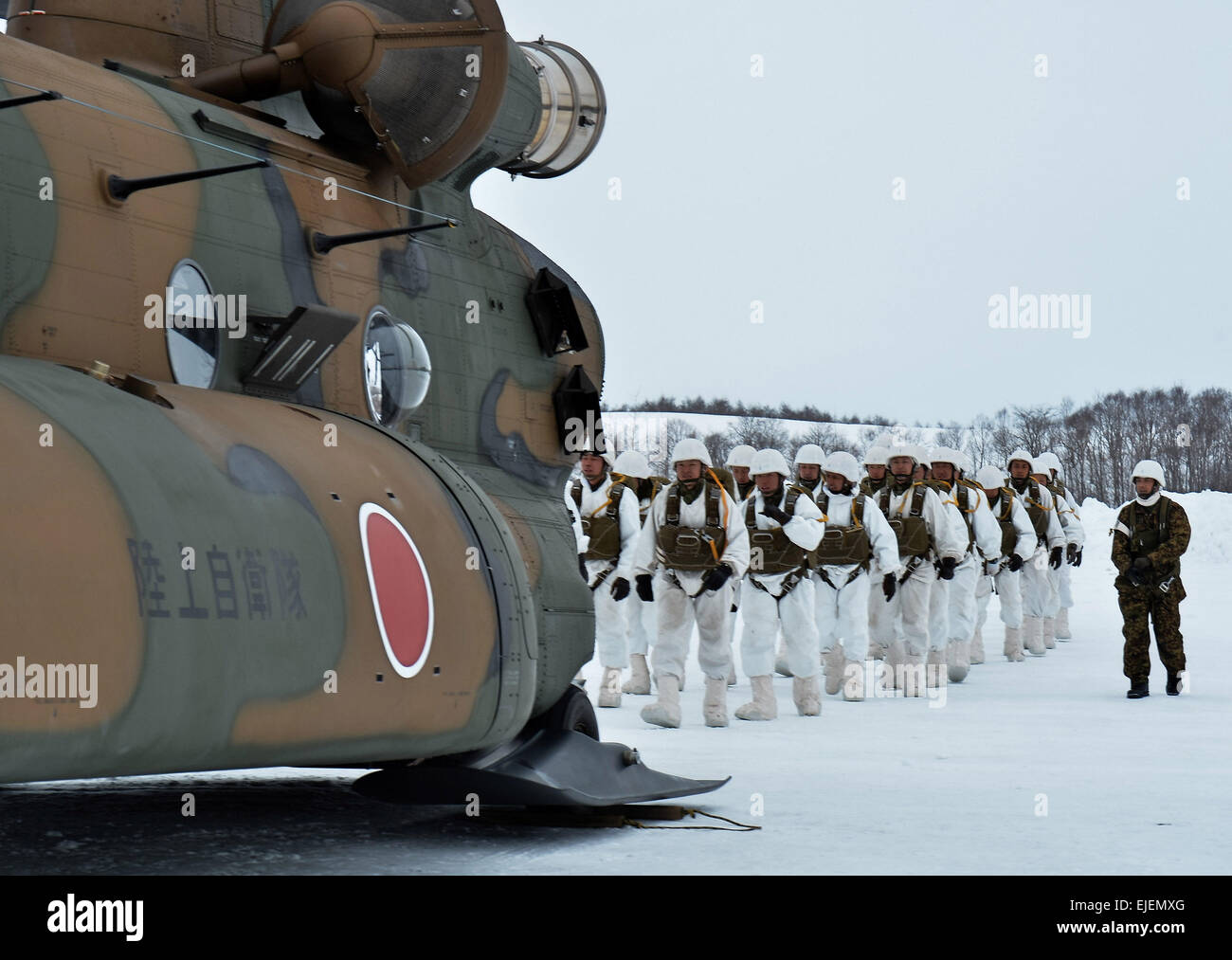 Ibct Joint High Resolution Stock Photography and Images - Alamy