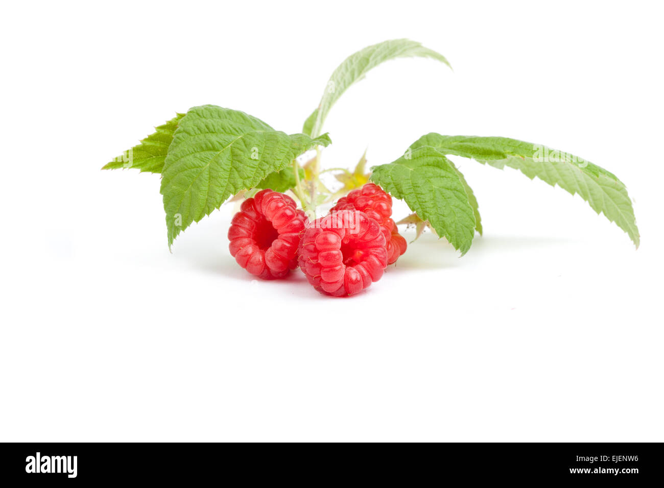 three raspberry fruits with fresh green leaf, white background ...