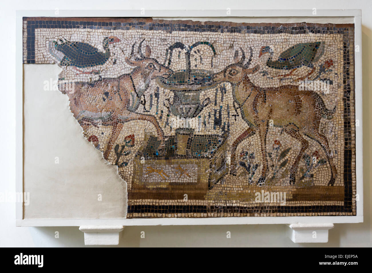 5th century animal hi-res stock photography and images - Alamy