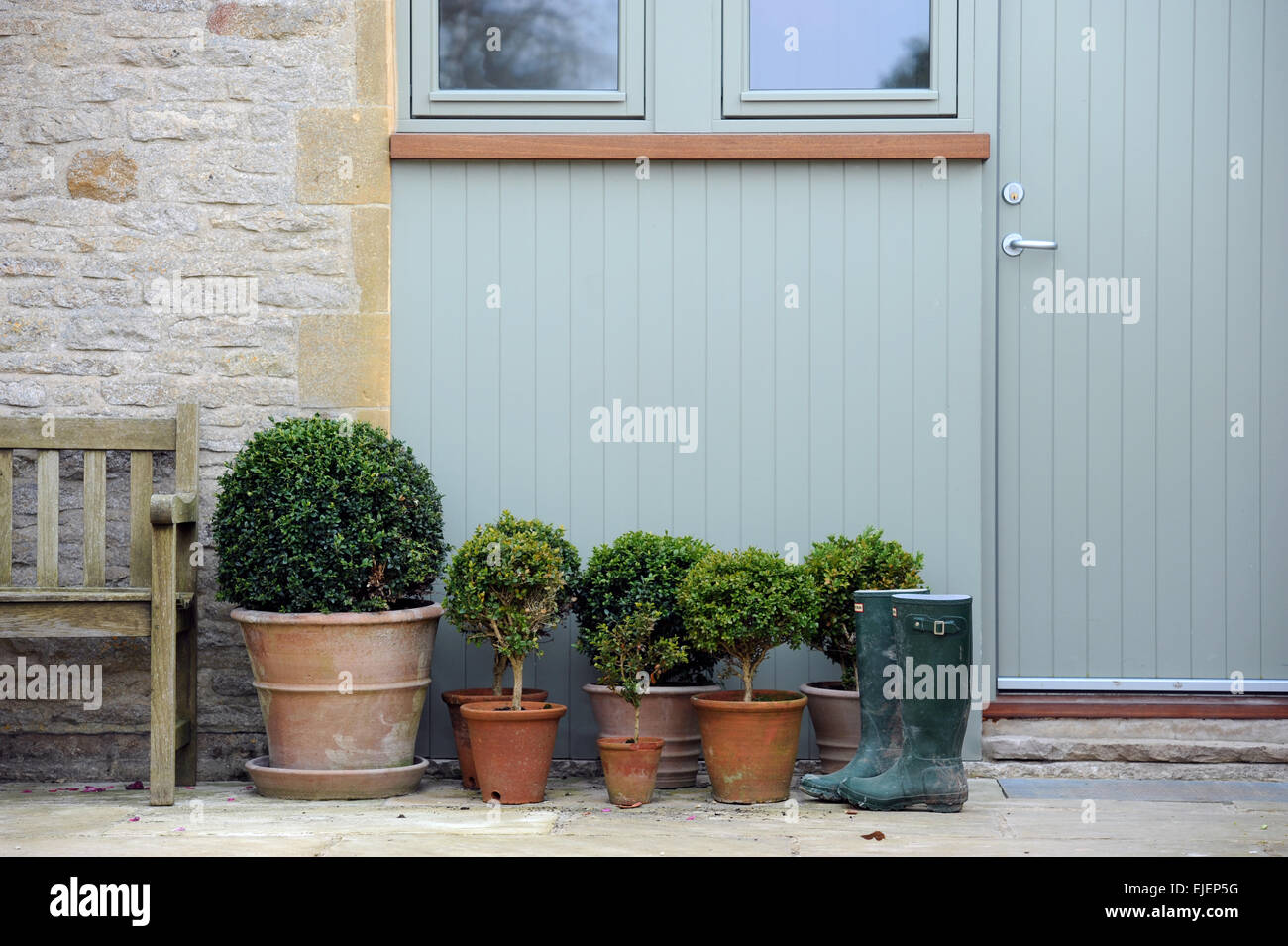 Potted box hedges with wellies by the door to a Cotswold barn ...