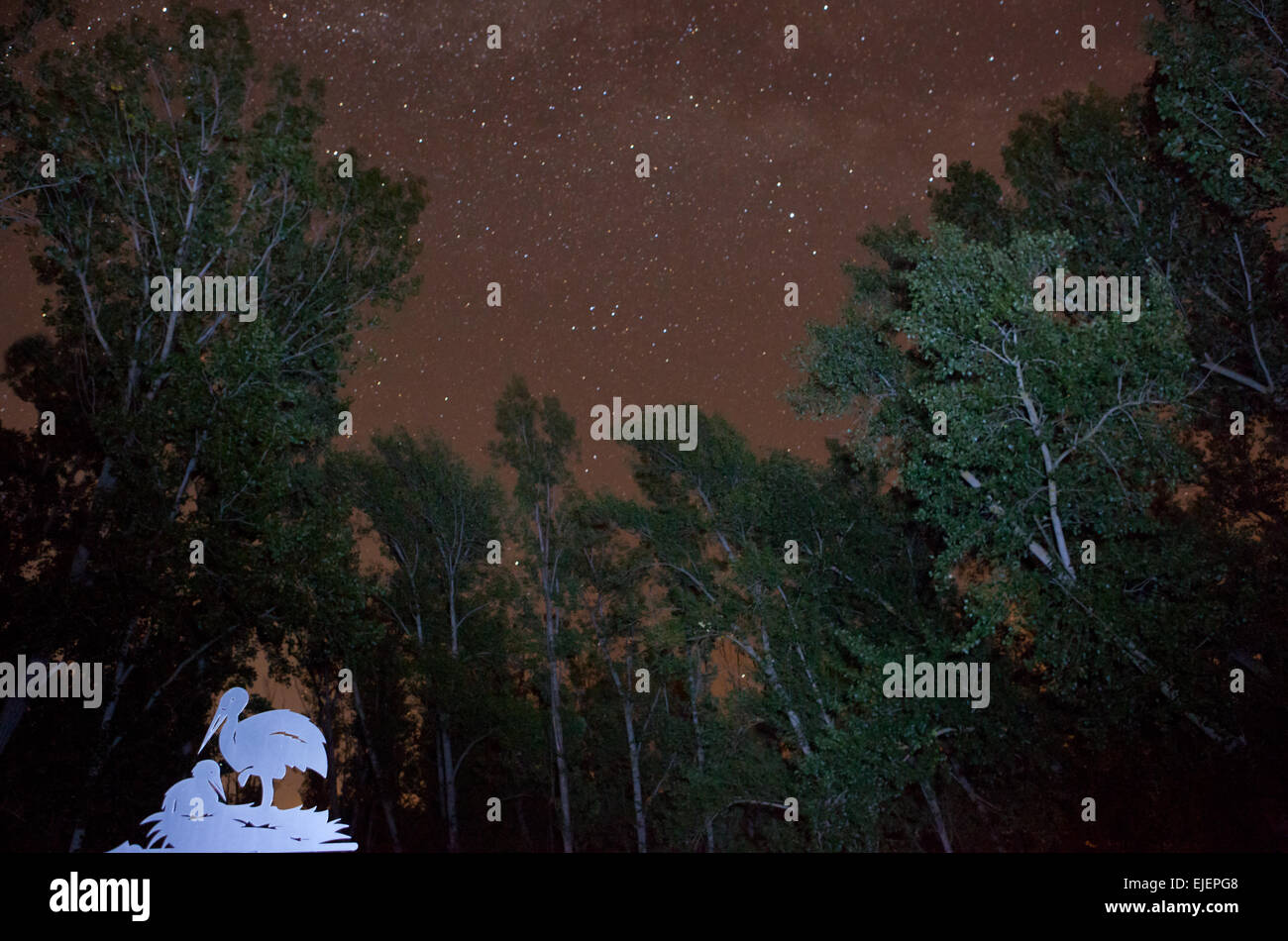 Starry night and weathercock between trees hi-res stock photography and ...