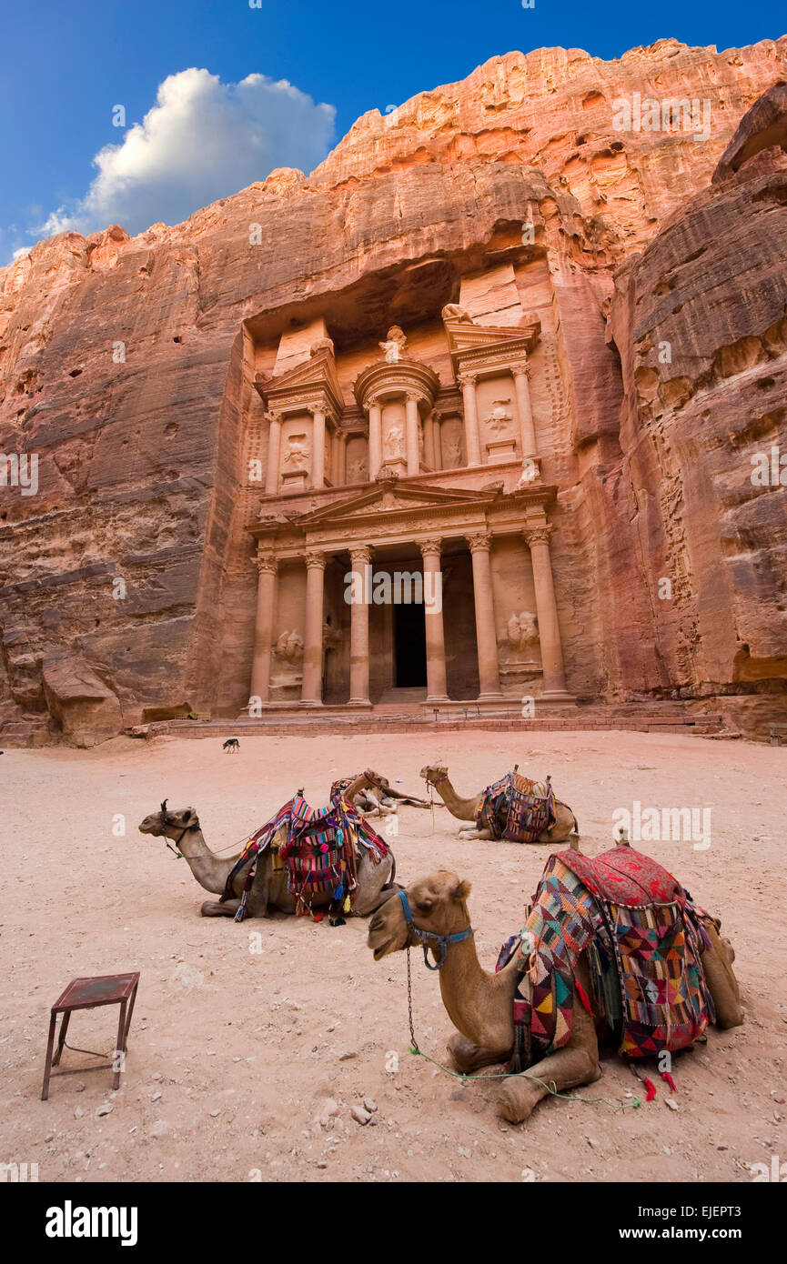 Camels in front of the treasury or Al Khazna, it is the most ...
