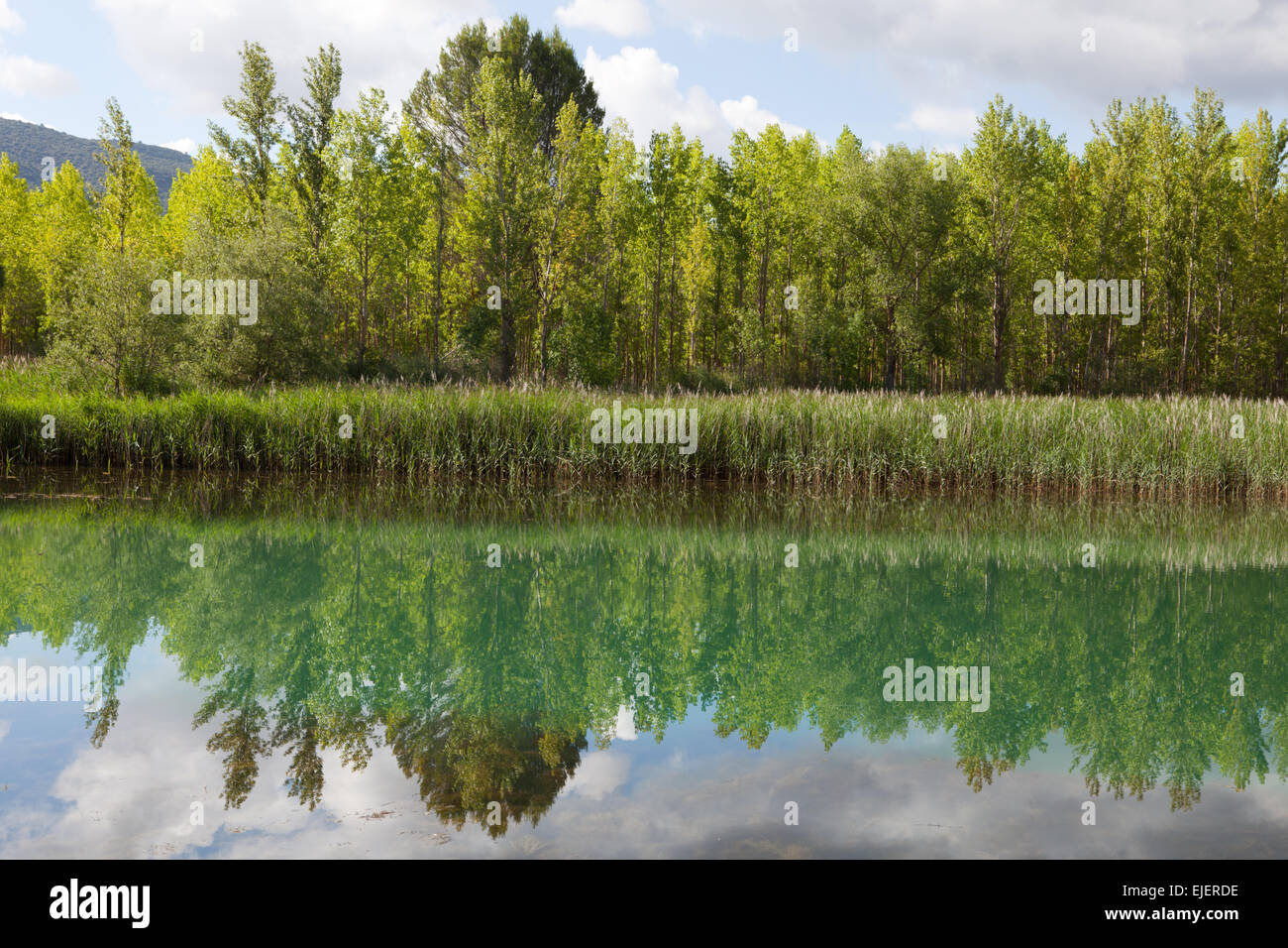 Marsh spectacular landscape of dams and forests of La Alcarria ...
