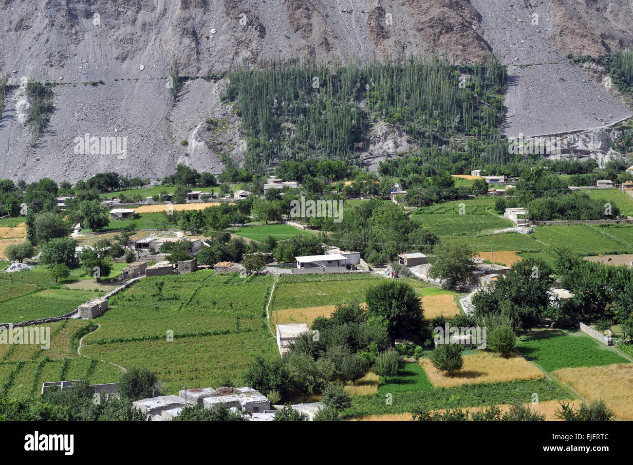 Hunza valley as viewed from Karimabad. Diran is the mountain to the ...