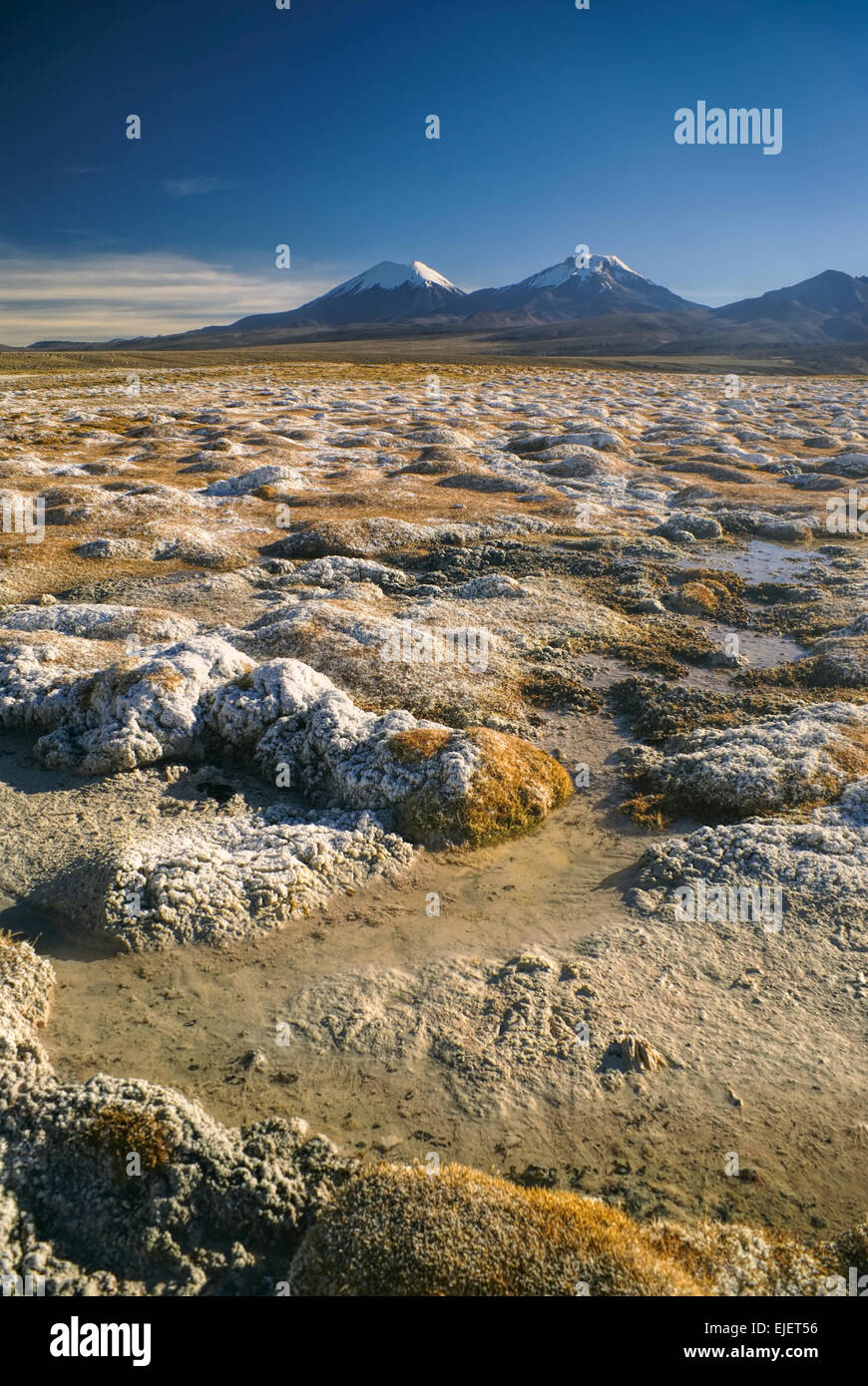 Scenic view of bolivian volcanoes, highest peaks in Sajama national ...