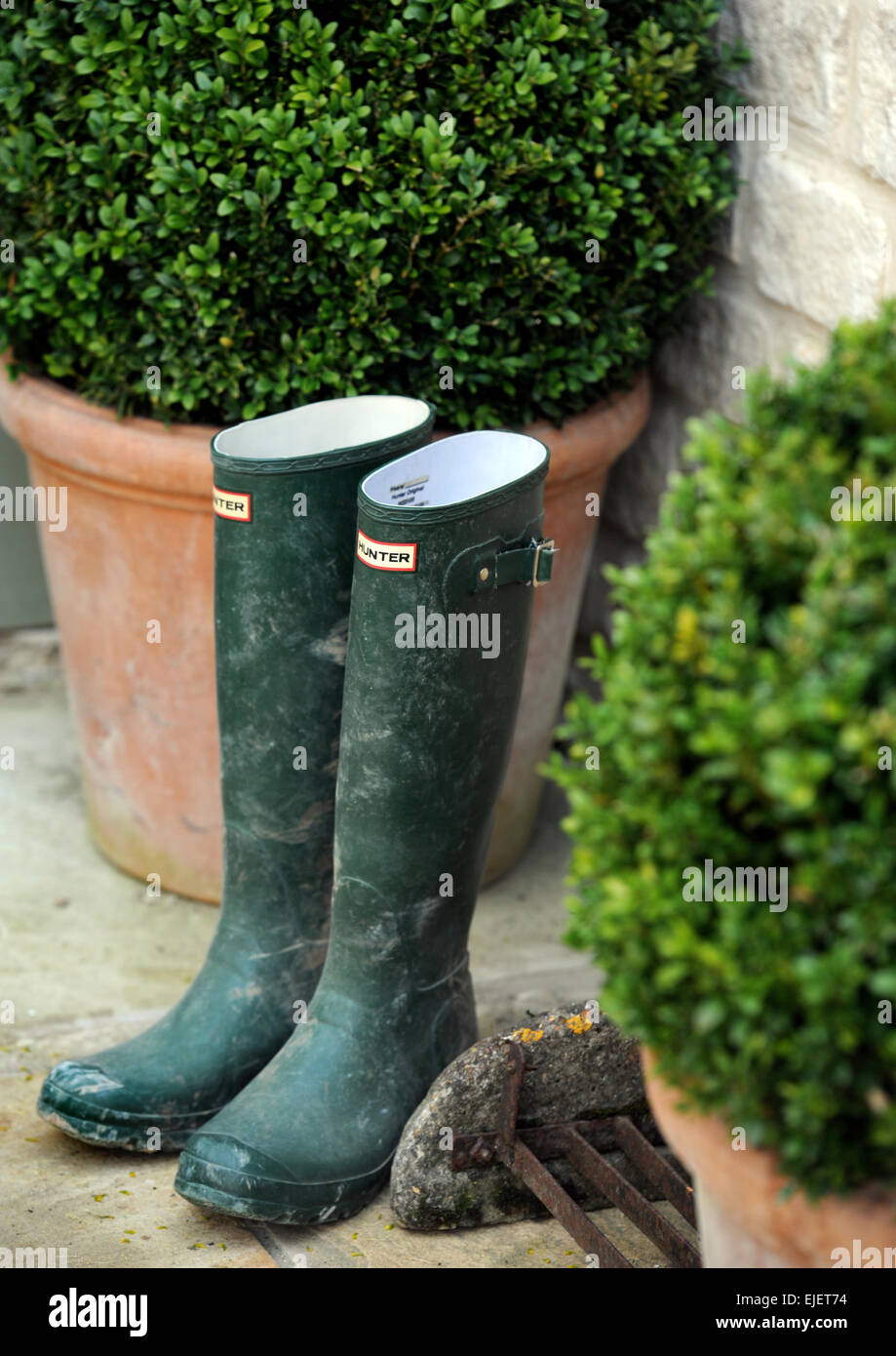 Potted box hedges with wellies by the door to a Cotswold barn ...