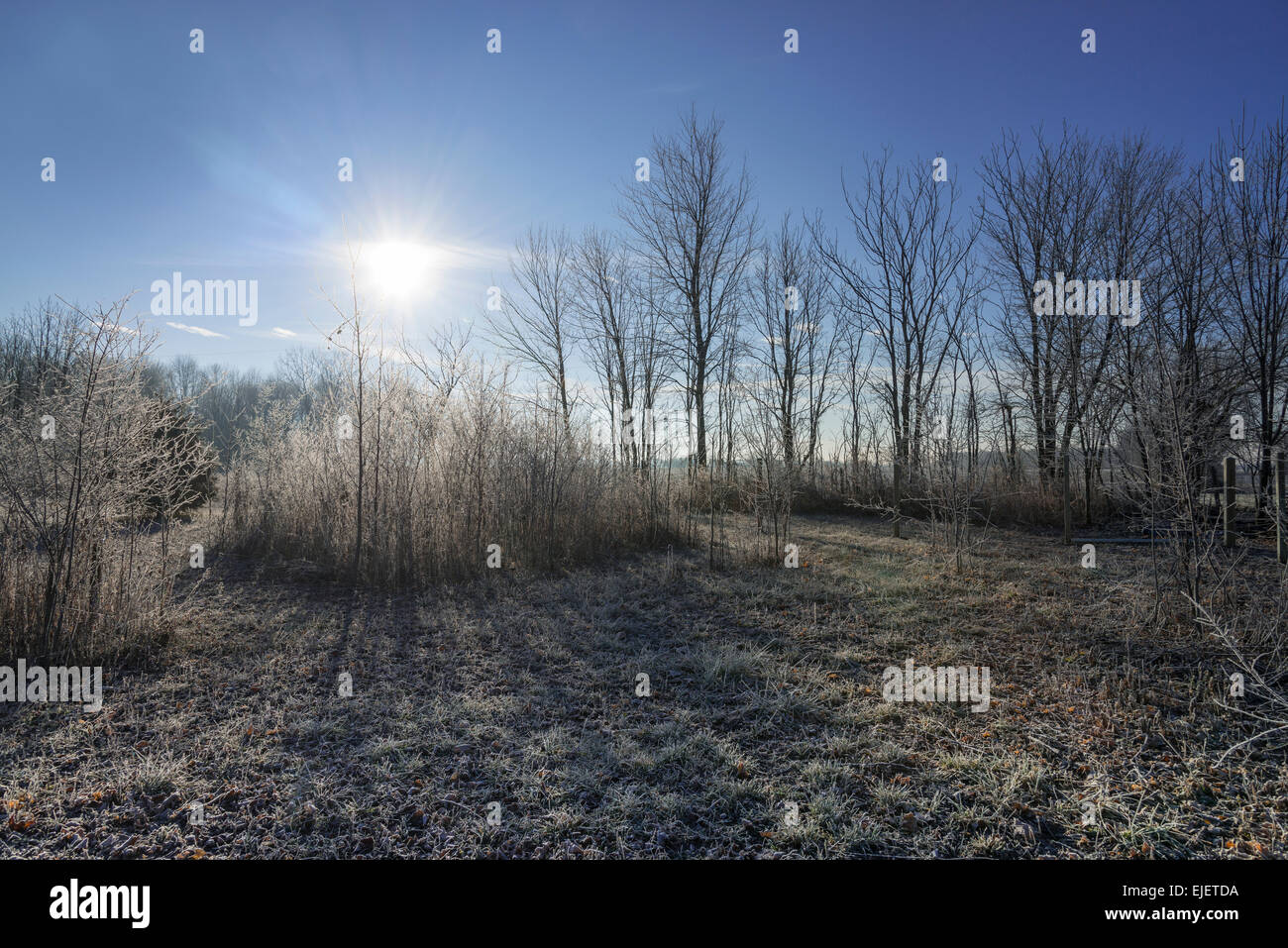 Sunny frosty morning hi-res stock photography and images - Alamy