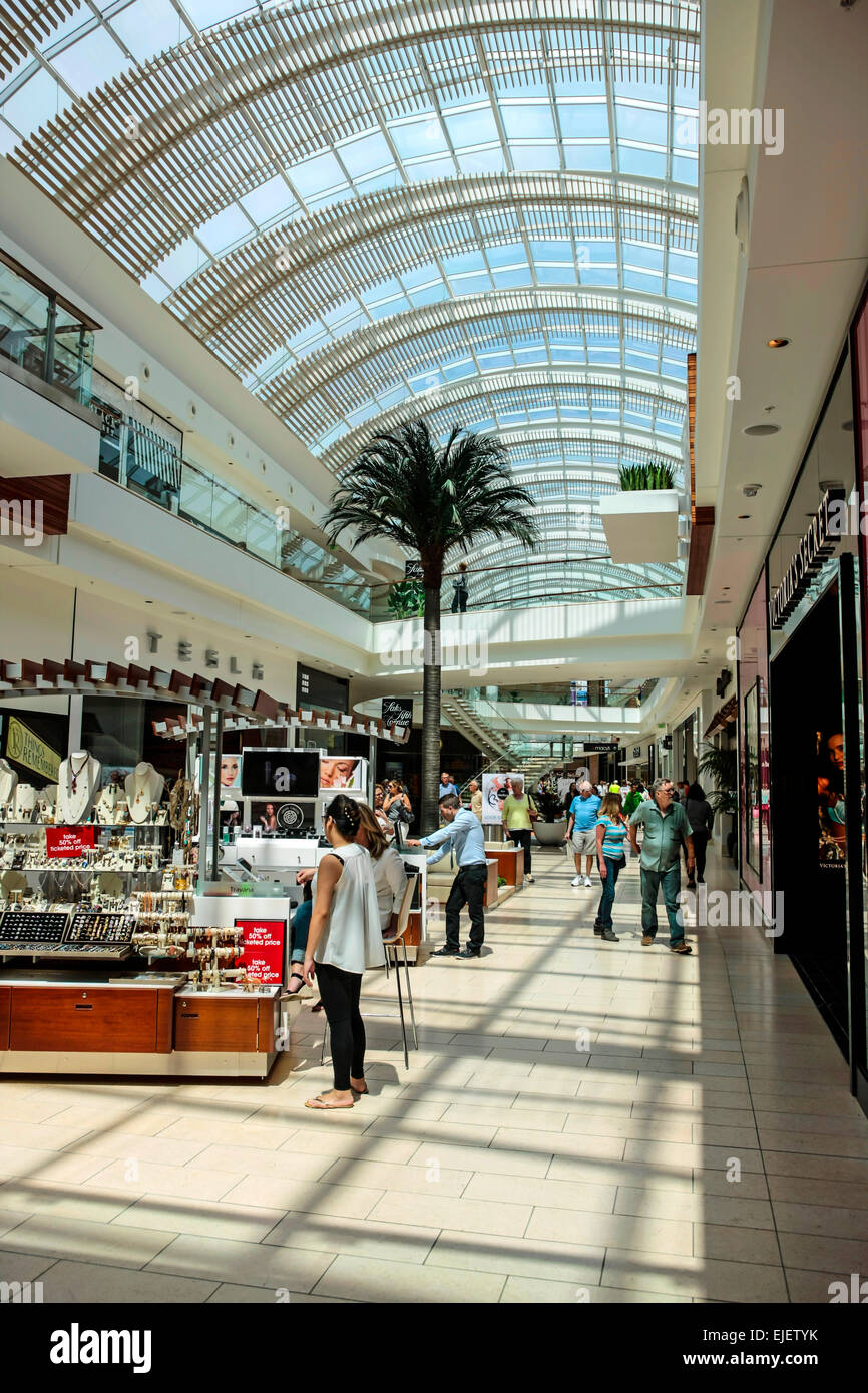 Inside the new University Town Center Mall located just off I-75 on ...