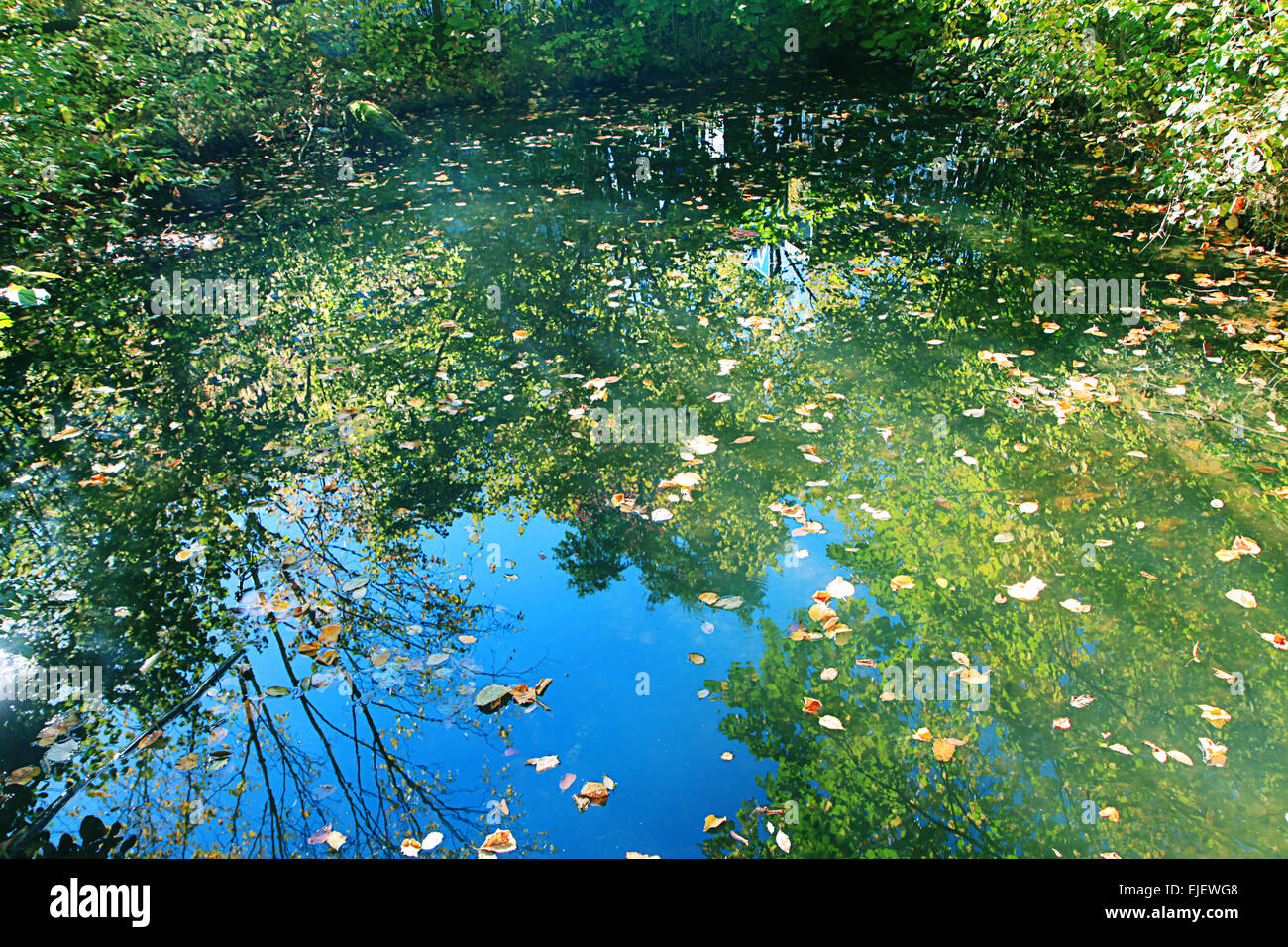 Nature background, pond with autumnal fallen leaves and blue sky ...