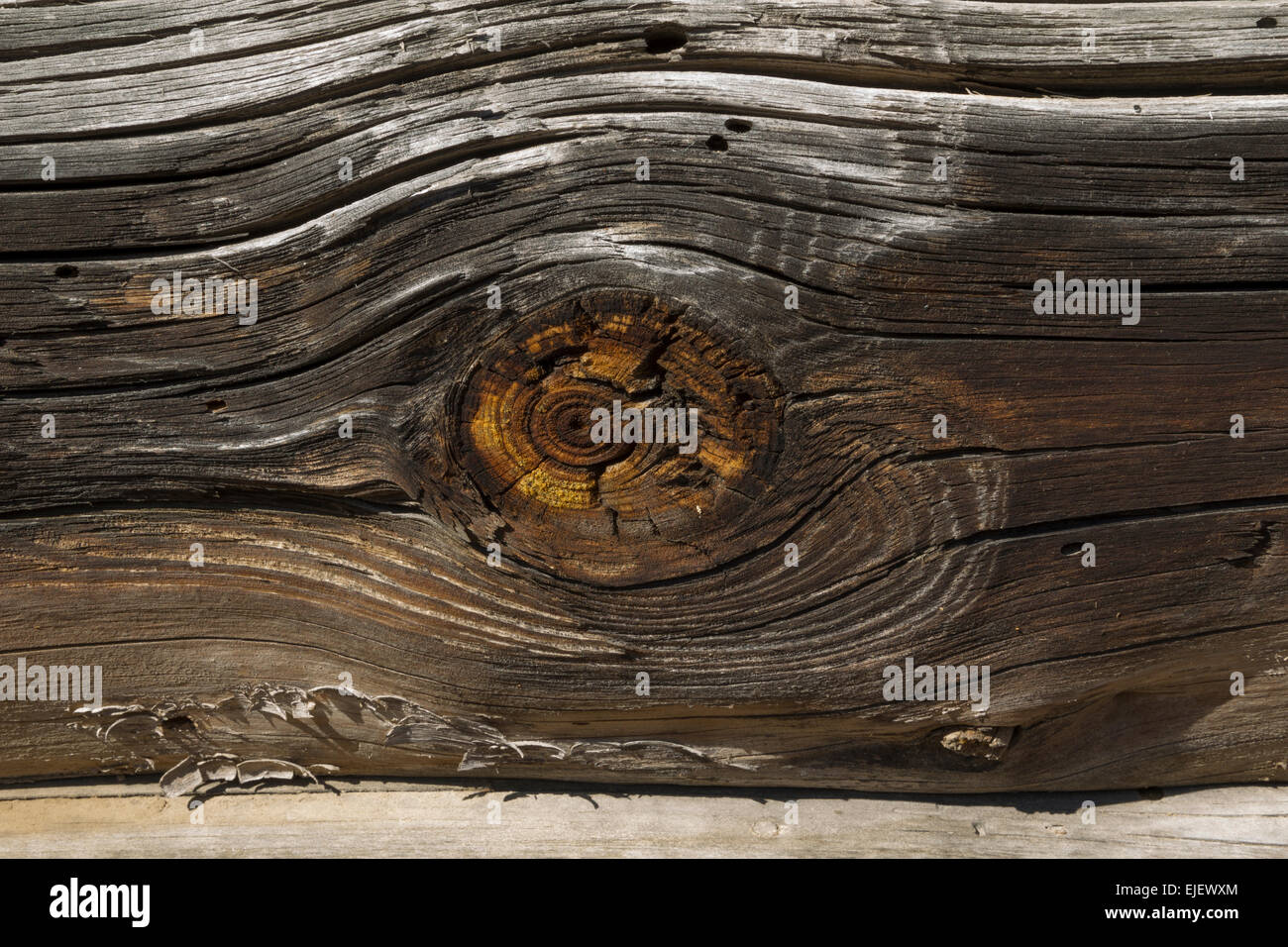 Exterior wall texture hi-res stock photography and images - Alamy