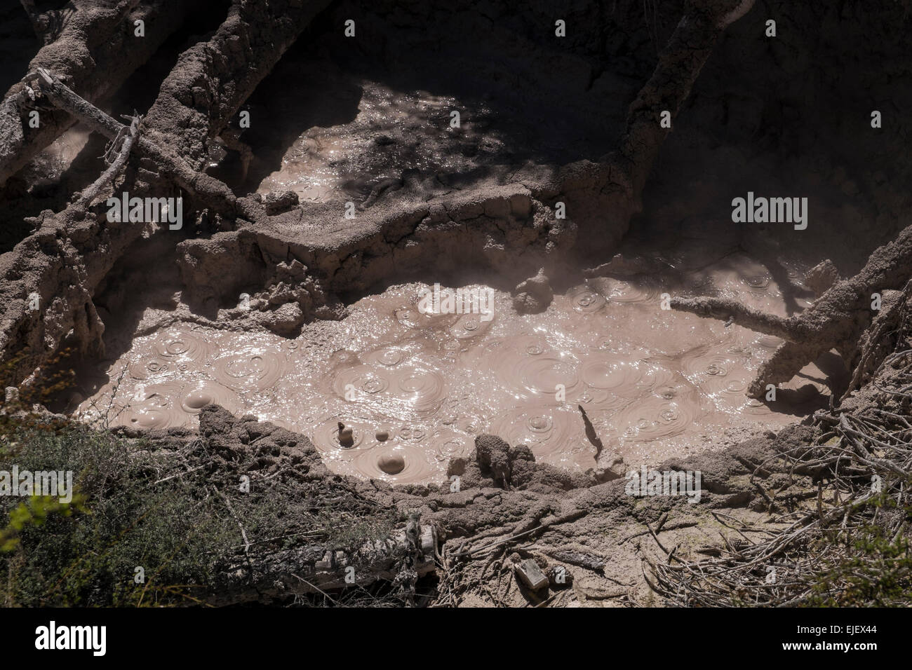 Boiling mud pools hi-res stock photography and images - Alamy