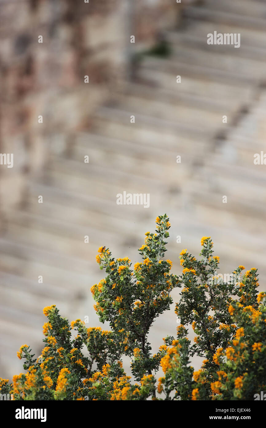 Theater attic hi-res stock photography and images - Alamy